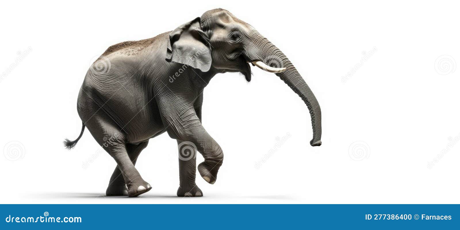 Dancing elephant stock illustration. Illustration of huge - 277386400