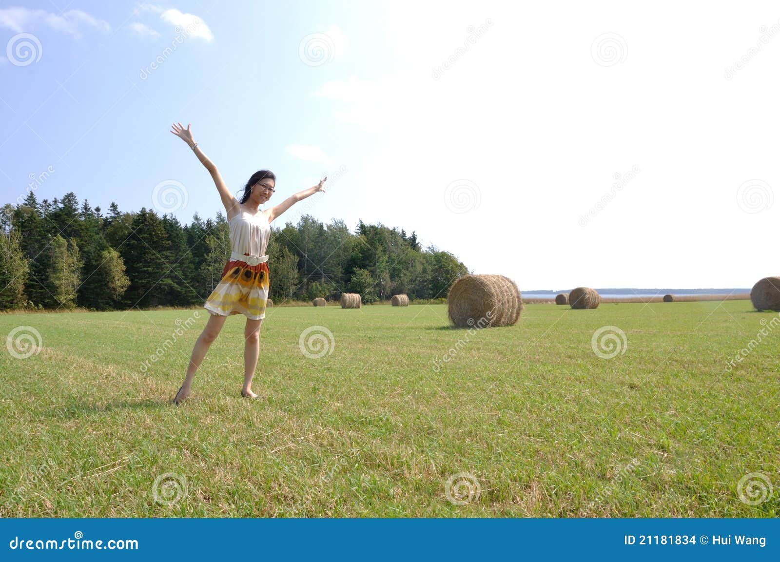 Dancing on a farm field stock photo. Image of river, atlantic - 21181834