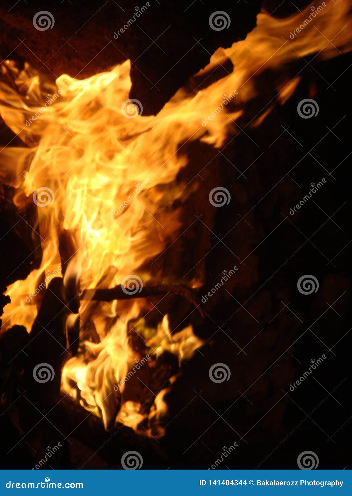 Dancing Flames from Small Fire Shooting by Night Amazing View Stock ...