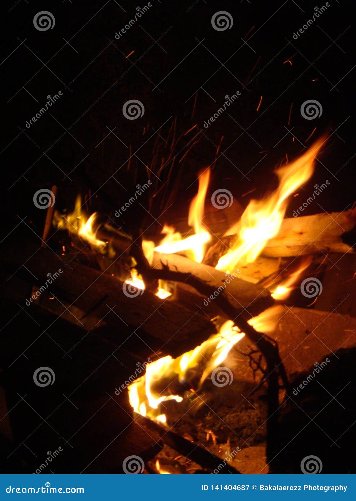 Dancing Flames from Small Fire Shooting by Night Amazing View Stock ...