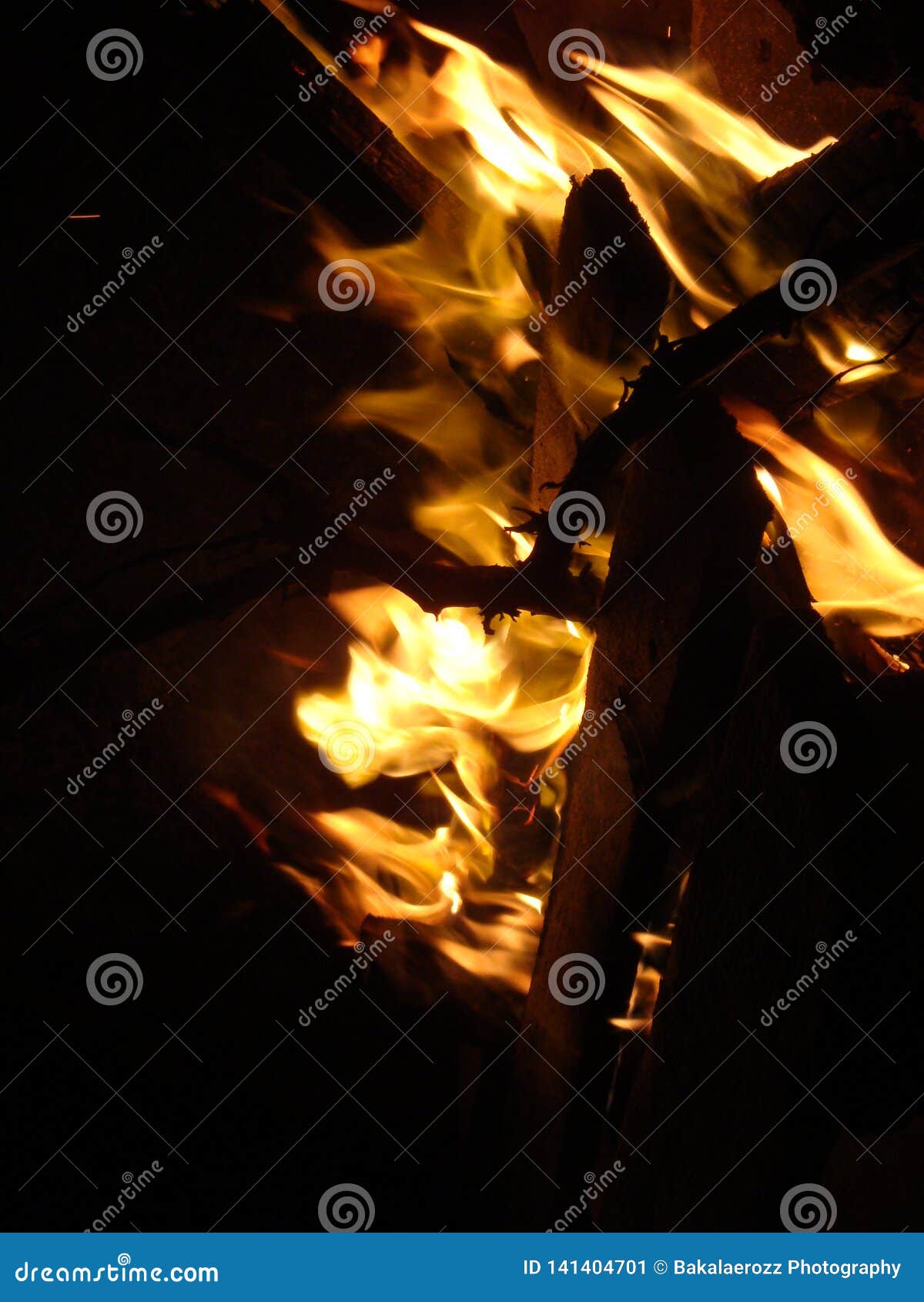 Dancing Flames from Small Fire Shooting by Night Amazing View Stock ...