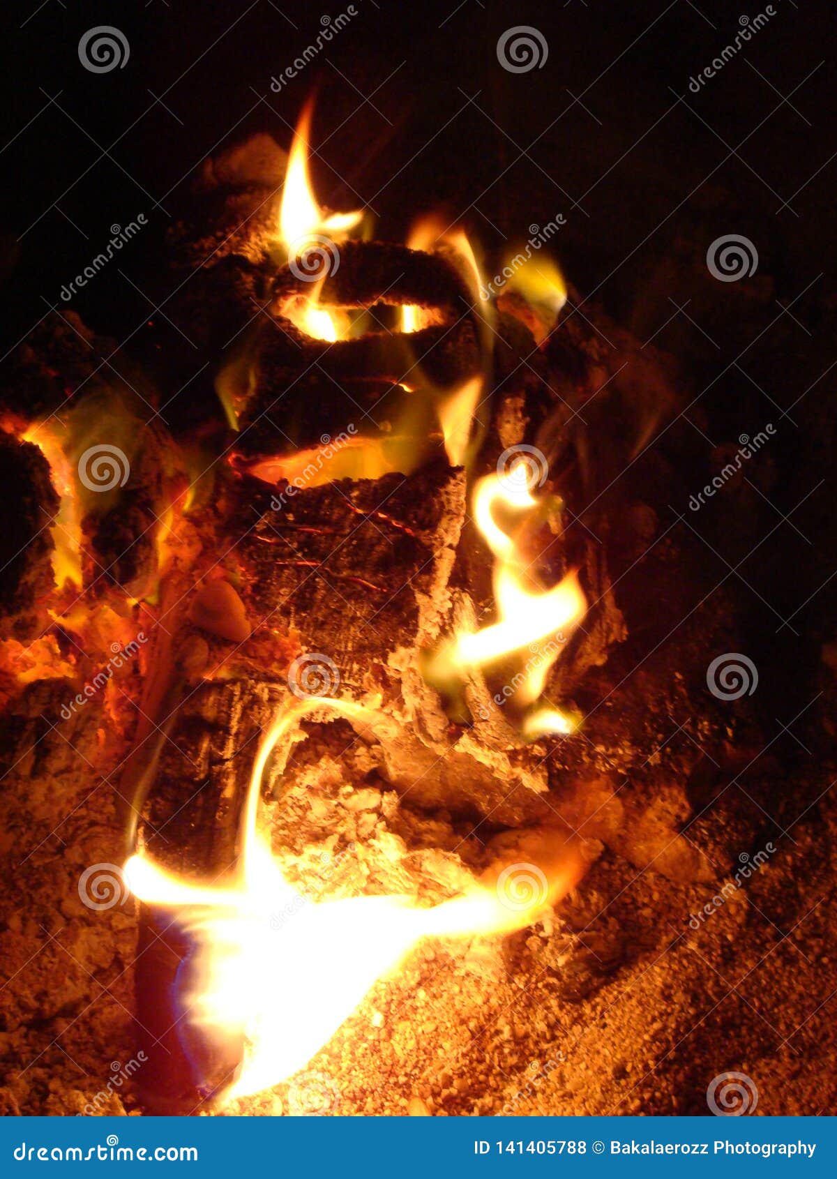 Dancing Flames from Small Fire Shooting by Night Amazing View Stock ...