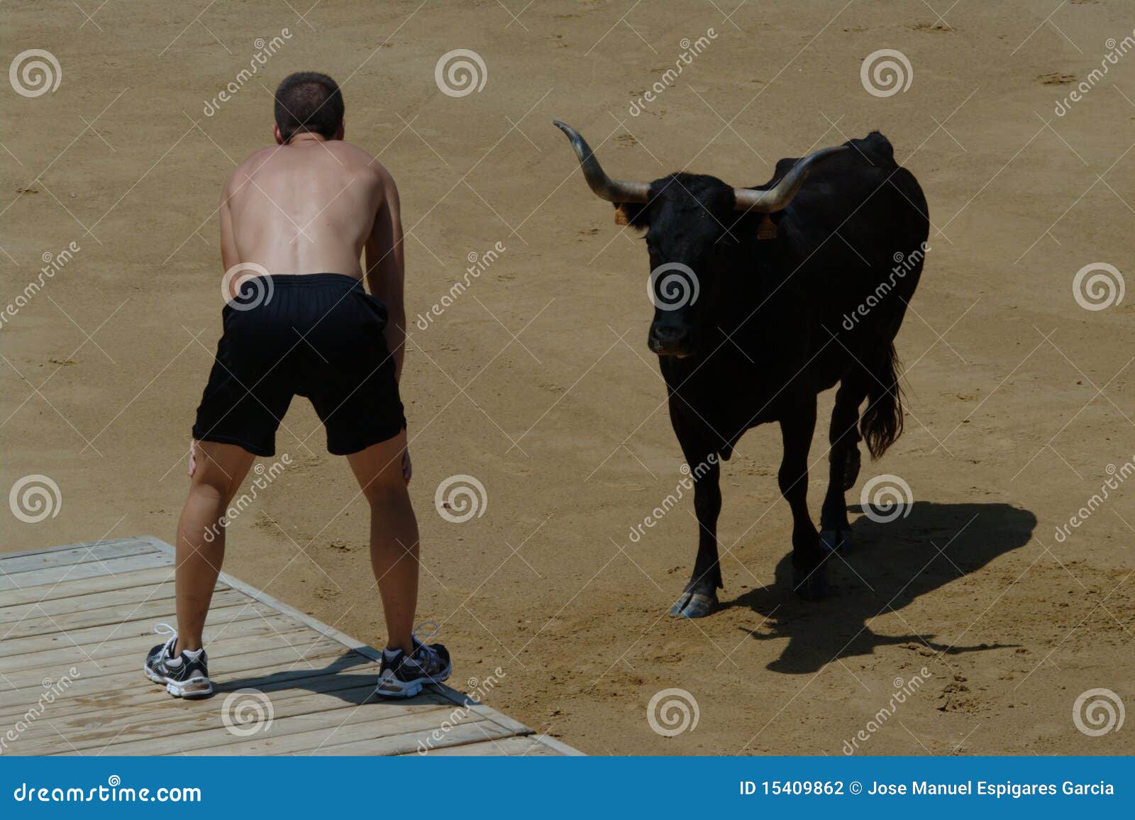 Dancing Iin Front of the Bull Editorial Photography - Image of oropesa ...