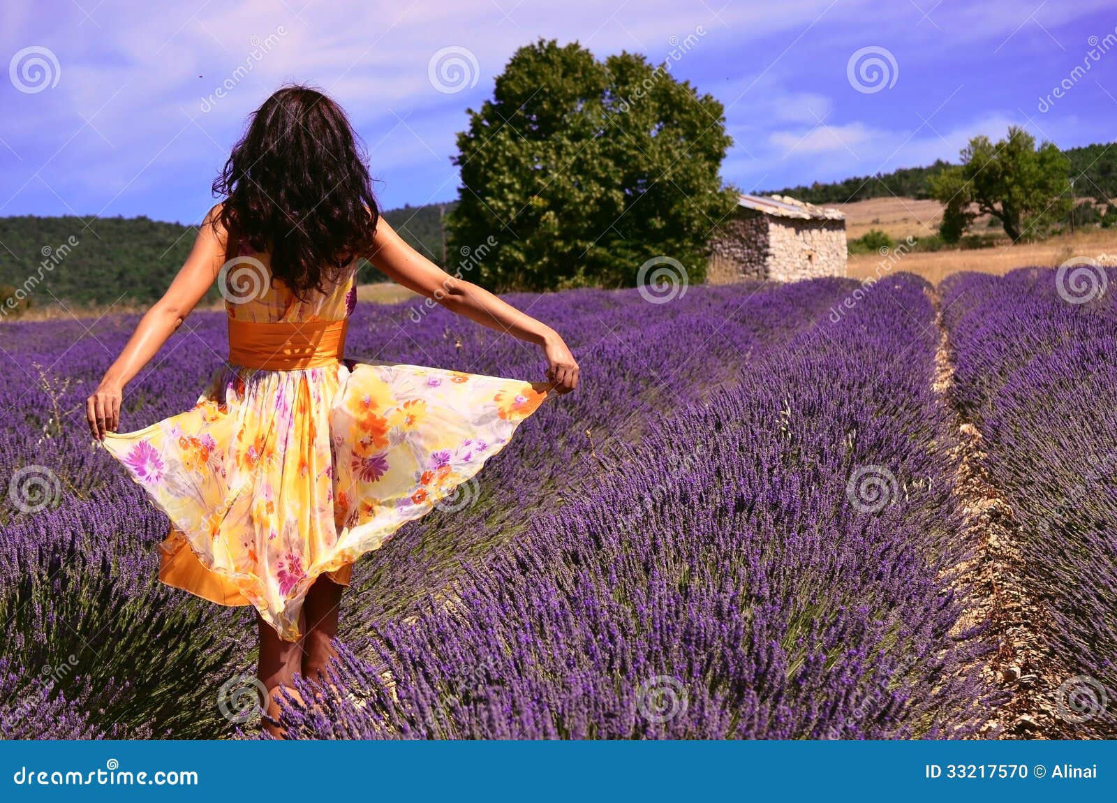 Woman Wearing a Floating Dress in a Lavender Field Stock Photo - Image ...