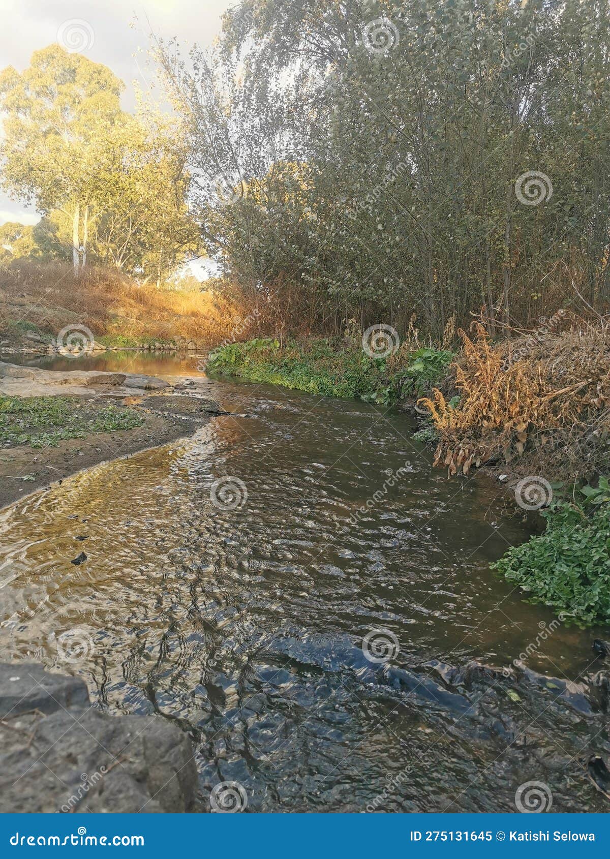 Dancing River Texture stock image. Image of river, nature - 275131645