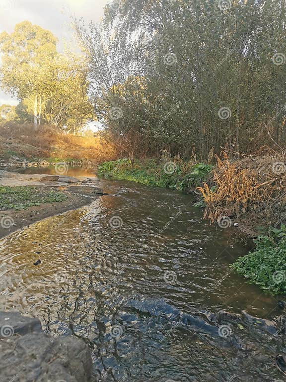 Dancing River Texture stock image. Image of river, nature - 275131645