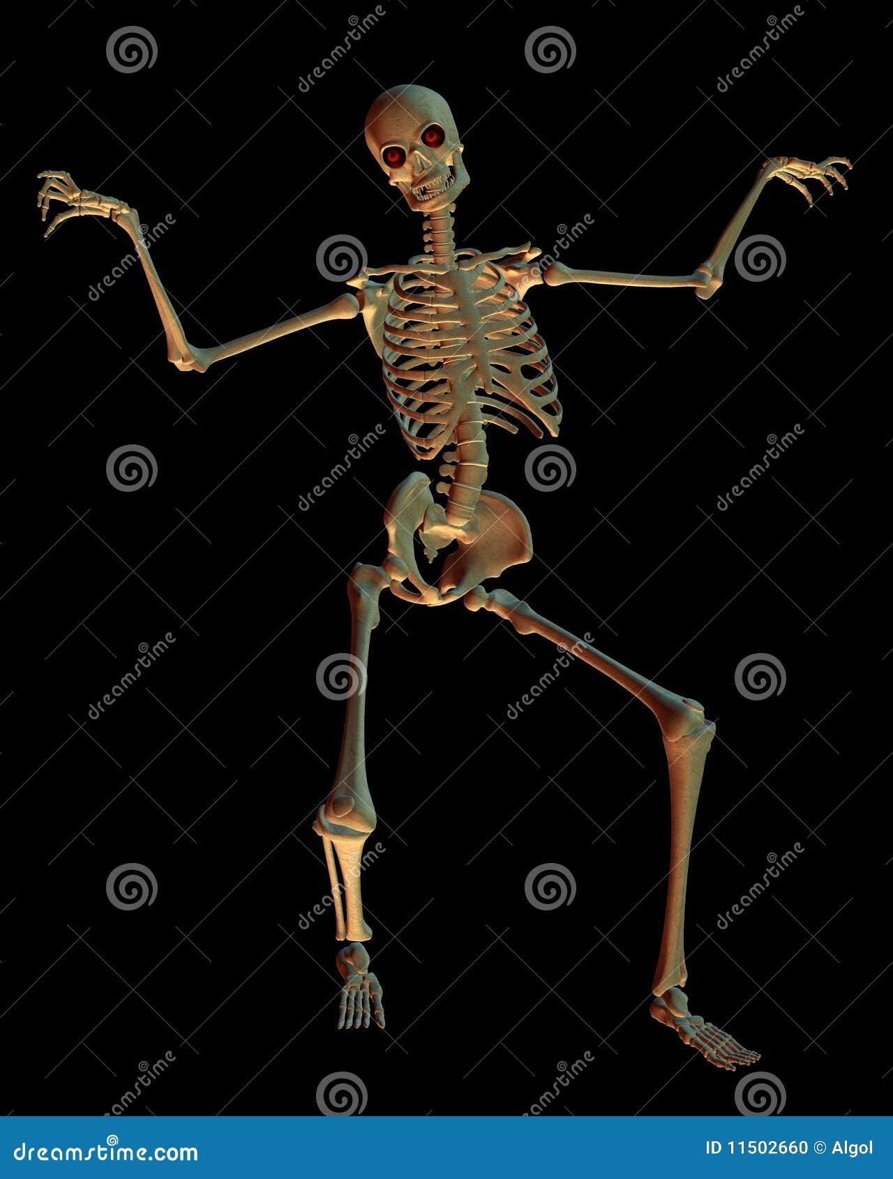 Dancing Skeleton Stock Photo - Image: 11502660