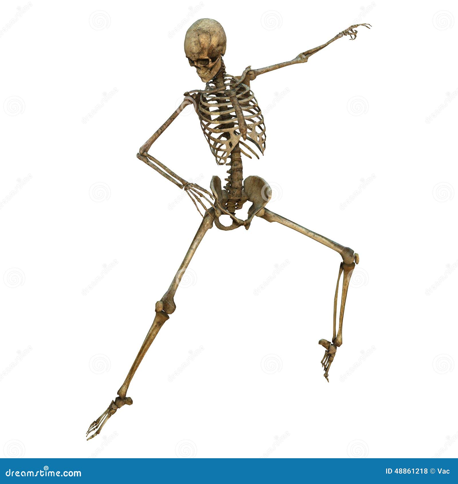 Dancing Skeleton stock illustration. Illustration of dead - 48861218