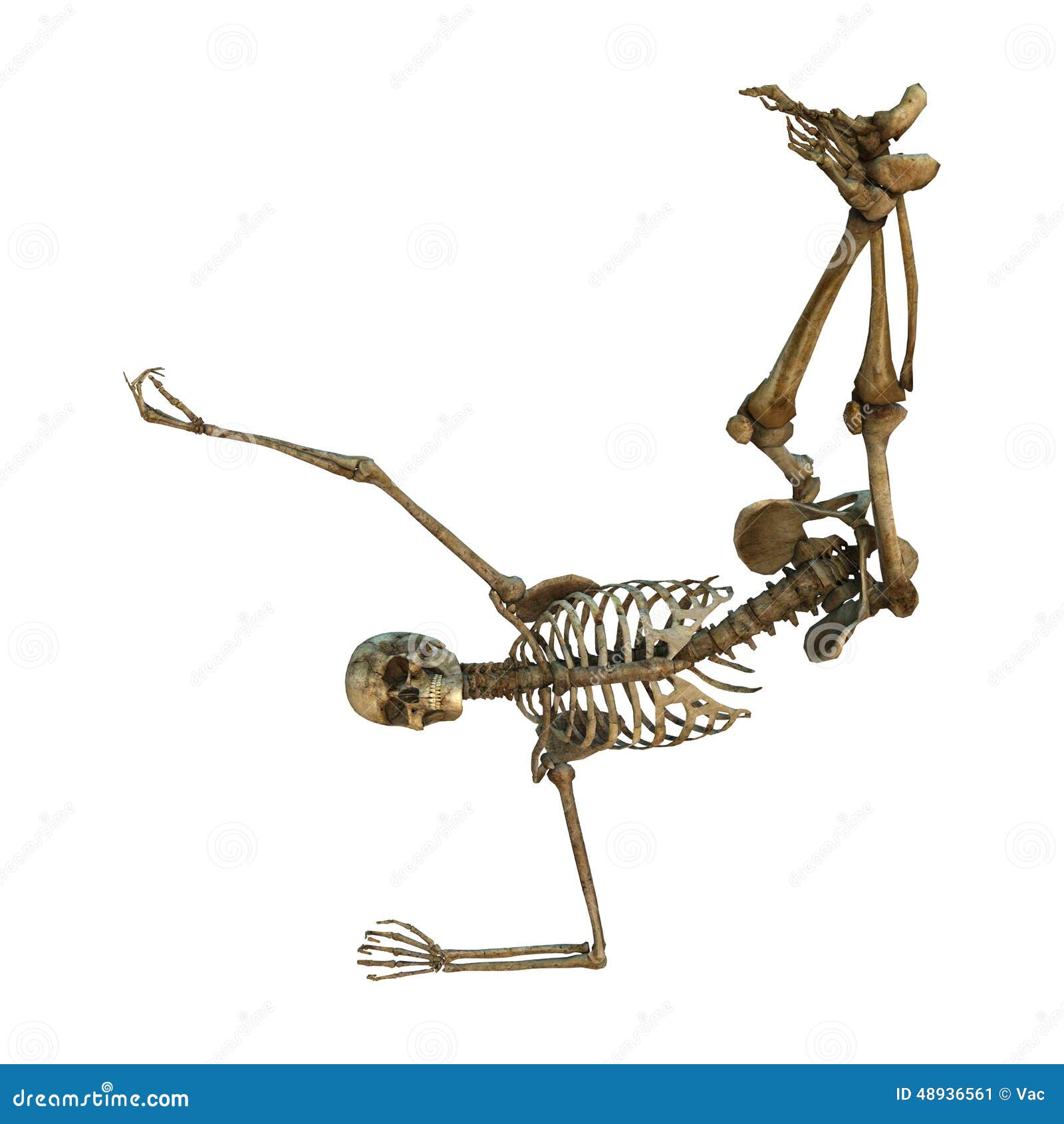 Dancing Skeleton stock illustration. Illustration of spine - 48936561