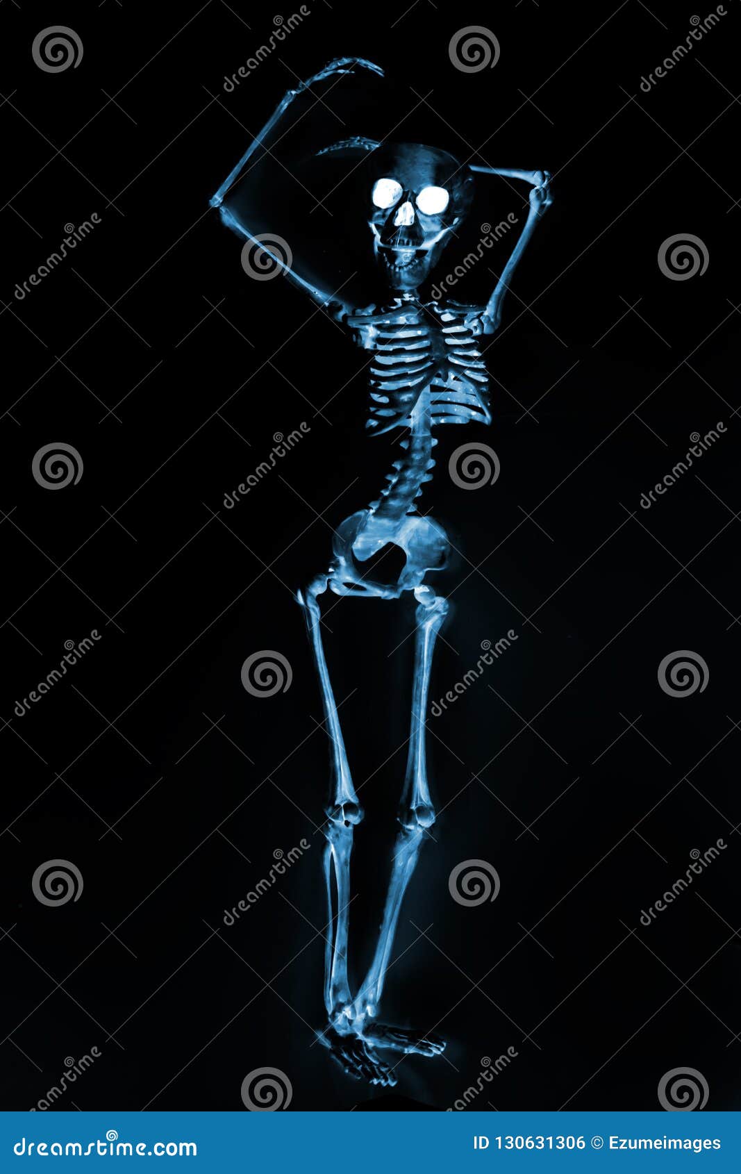 Dancing Skeletons X ray stock photo. Image of modern - 130631306