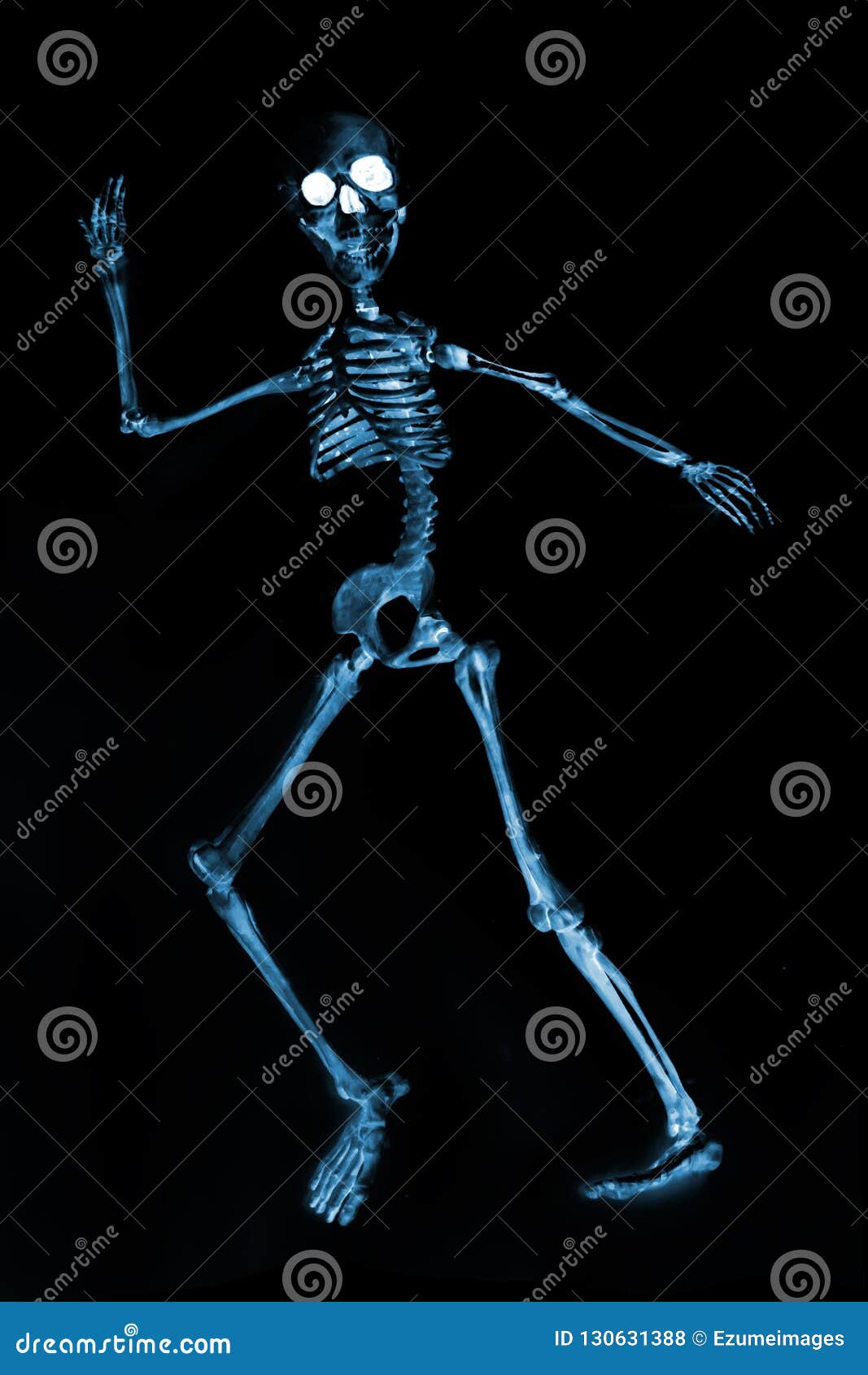 Dancing Skeletons X ray stock photo. Image of medical - 130631388