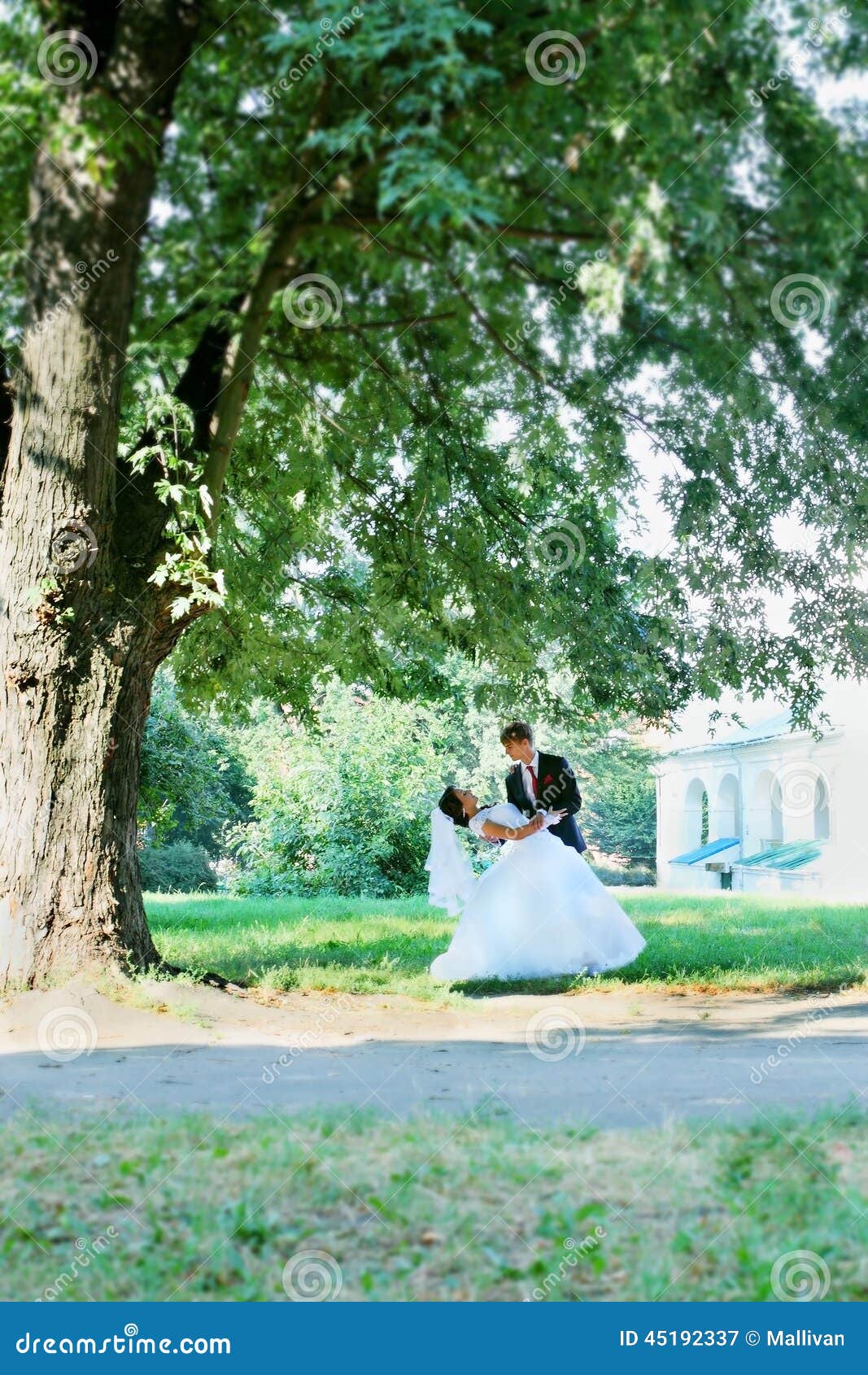 Dancing under a big tree stock image. Image of beautiful - 45192337