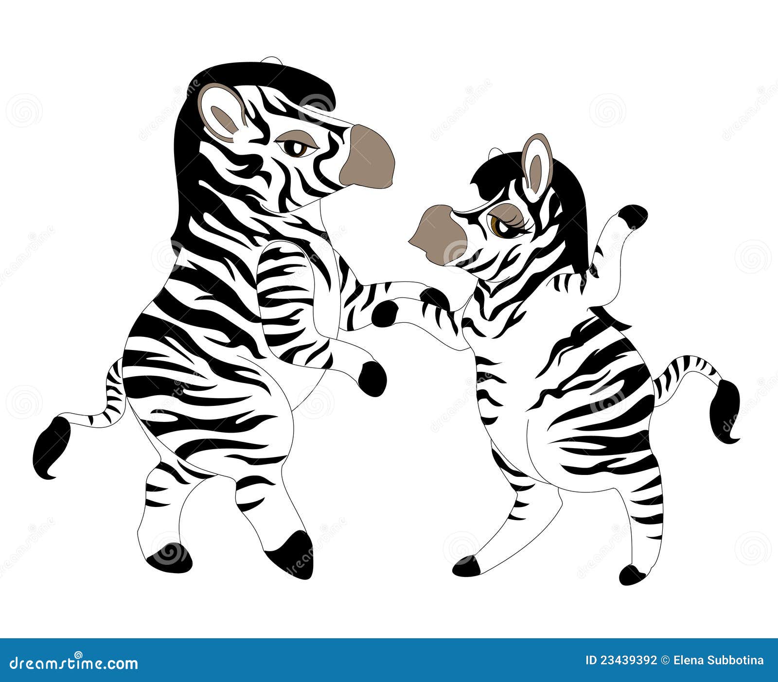 Dancing zebras stock illustration. Illustration of series - 23439392