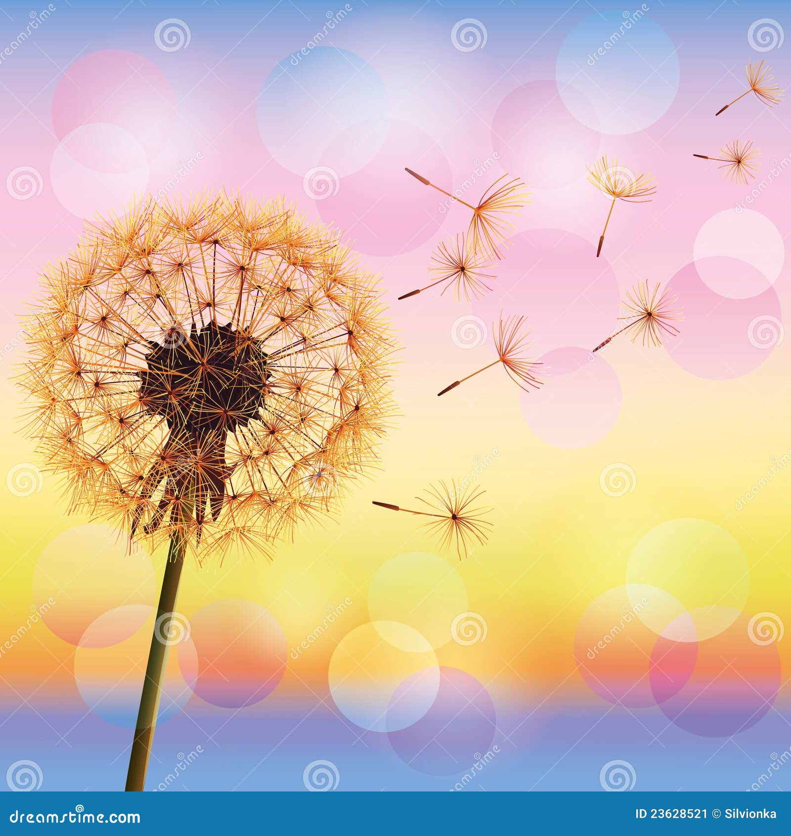 Dandelion And Sunset Background Vector Illustration | CartoonDealer.com ...