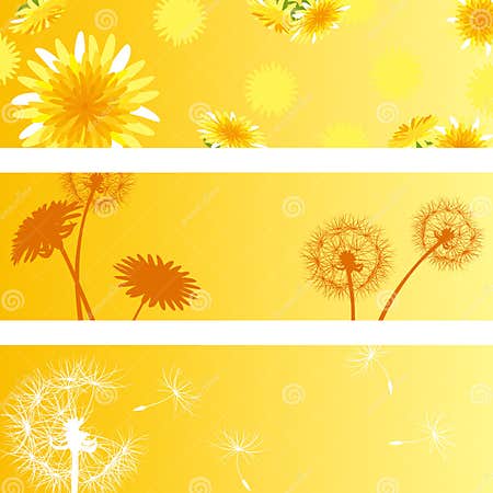 Dandelion banners set stock vector. Illustration of leaf - 18608451