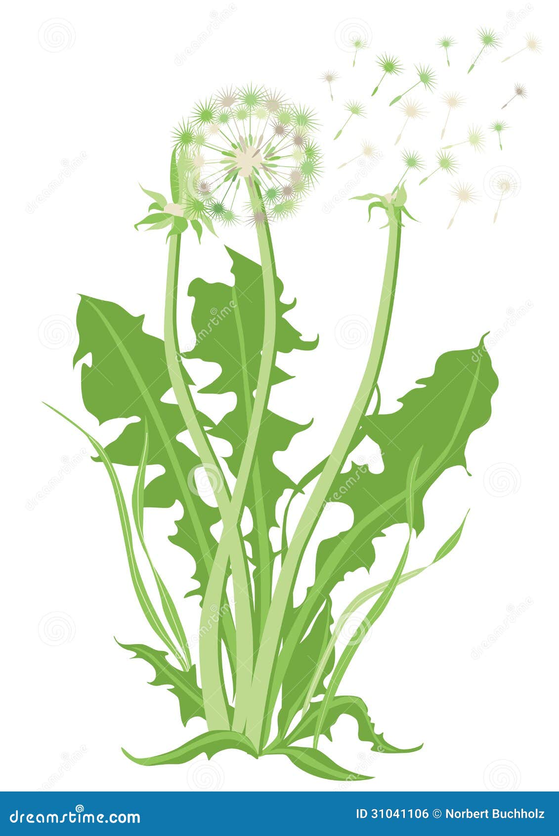 Wind Blowing Flowers Drawing