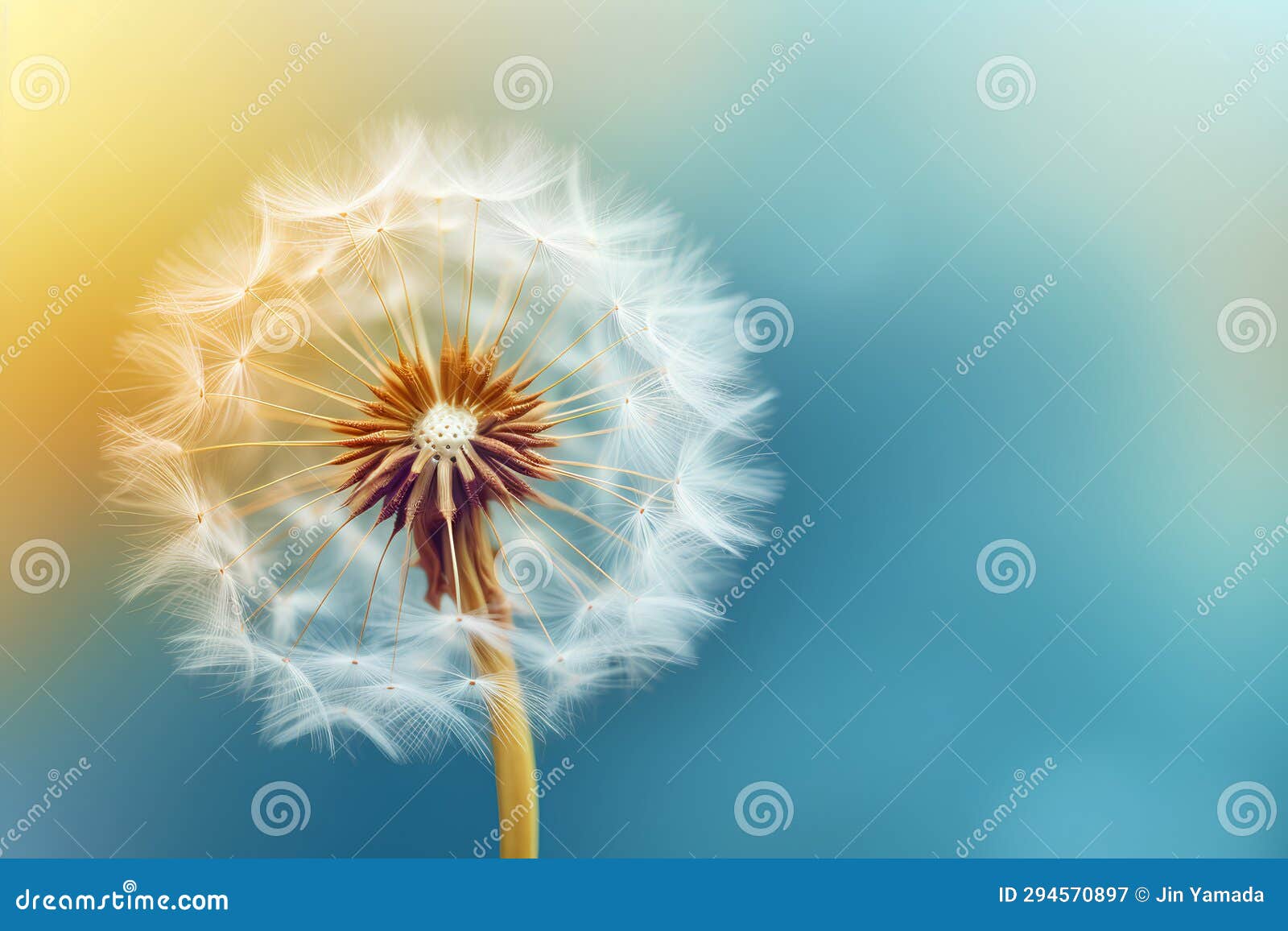 Dandelion on a Blue Background. 3d Rendering, 3d Illustration Stock ...