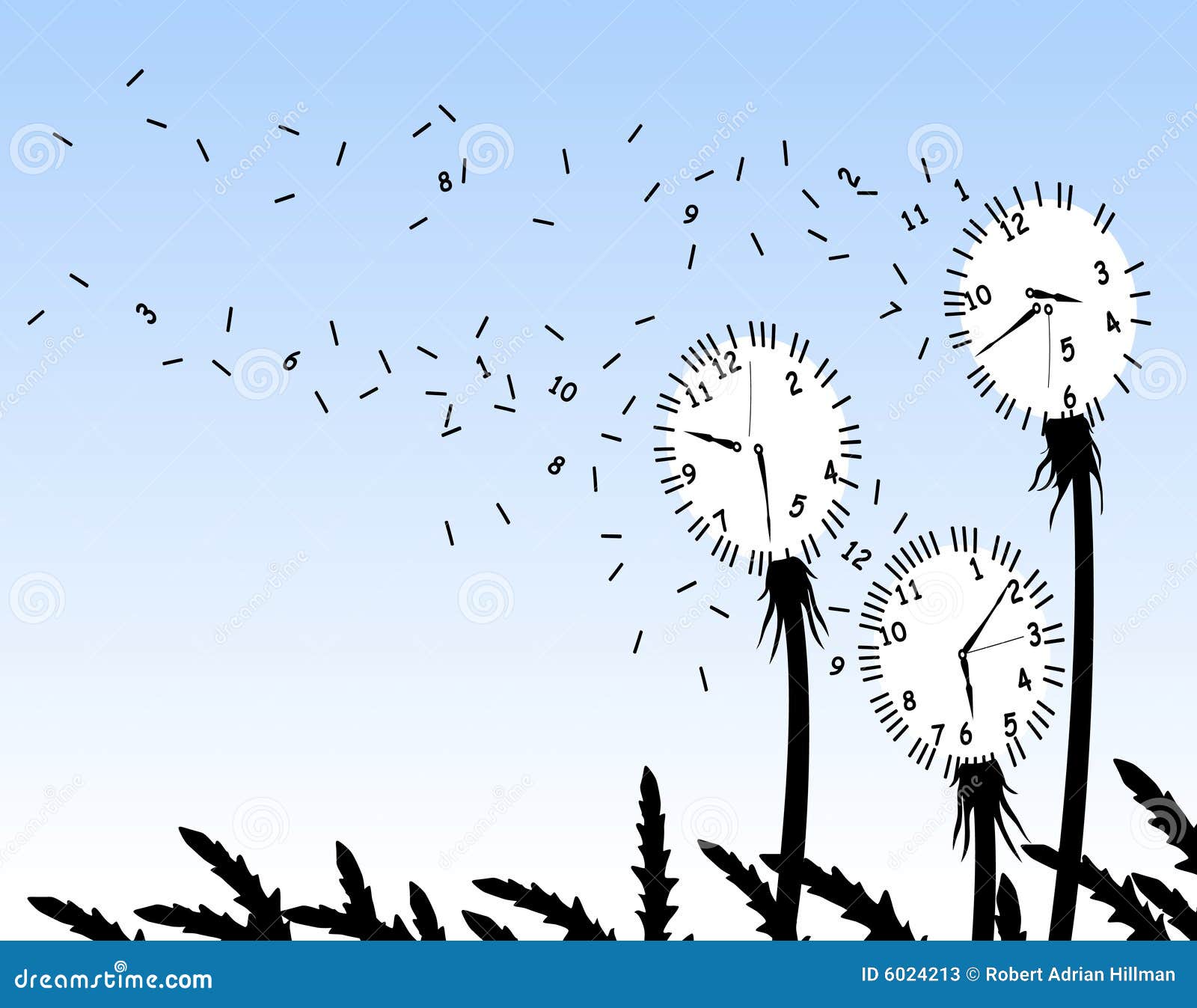 Dandelion clocks stock vector. Illustration of disperse - 6024213