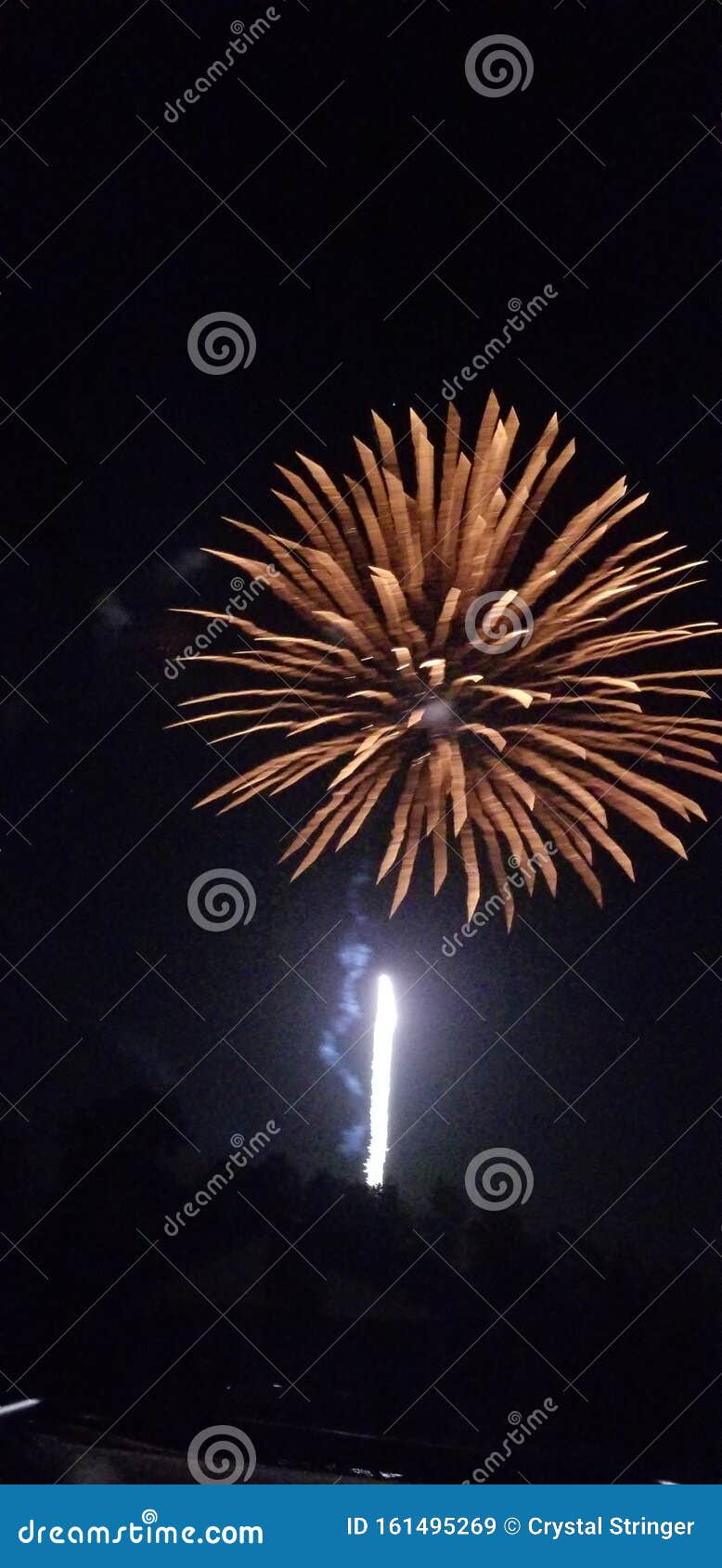 Dandelion on Fire stock image. Image of fireworks, fire - 161495269