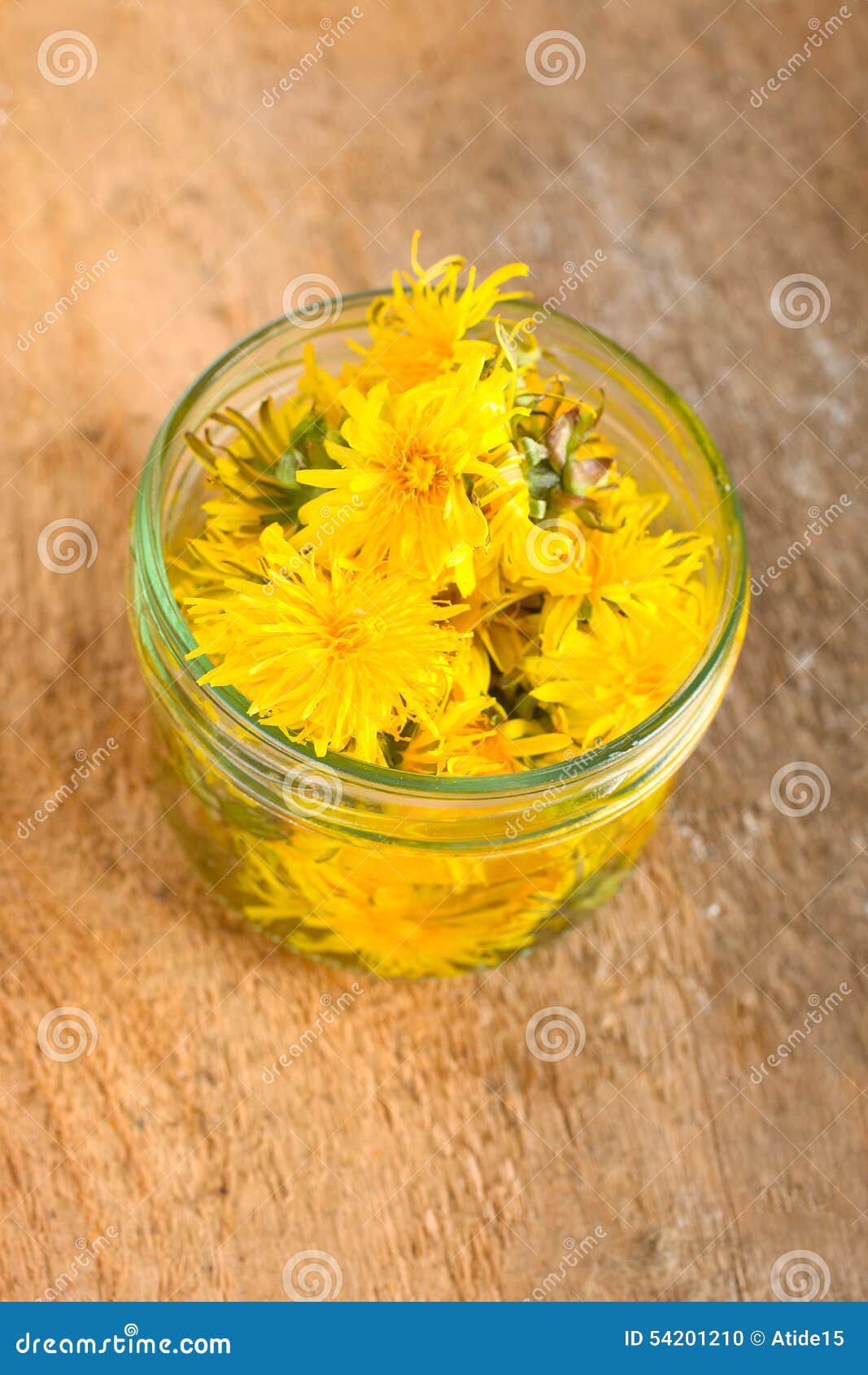 Dandelion stock photo. Image of flowers, green, leaf - 54201210