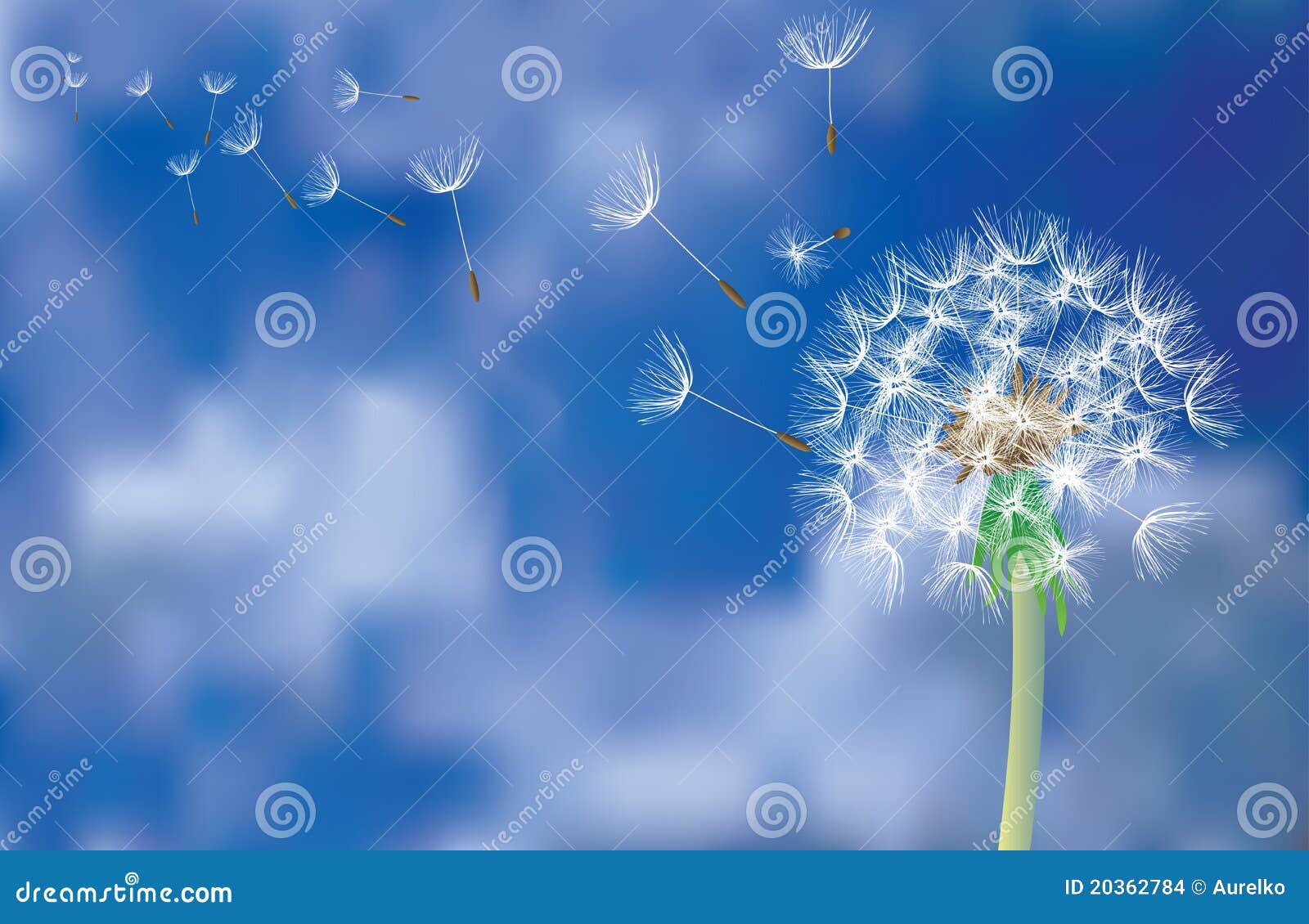 Dandelion fly stock vector. Illustration of nature, biology - 20362784