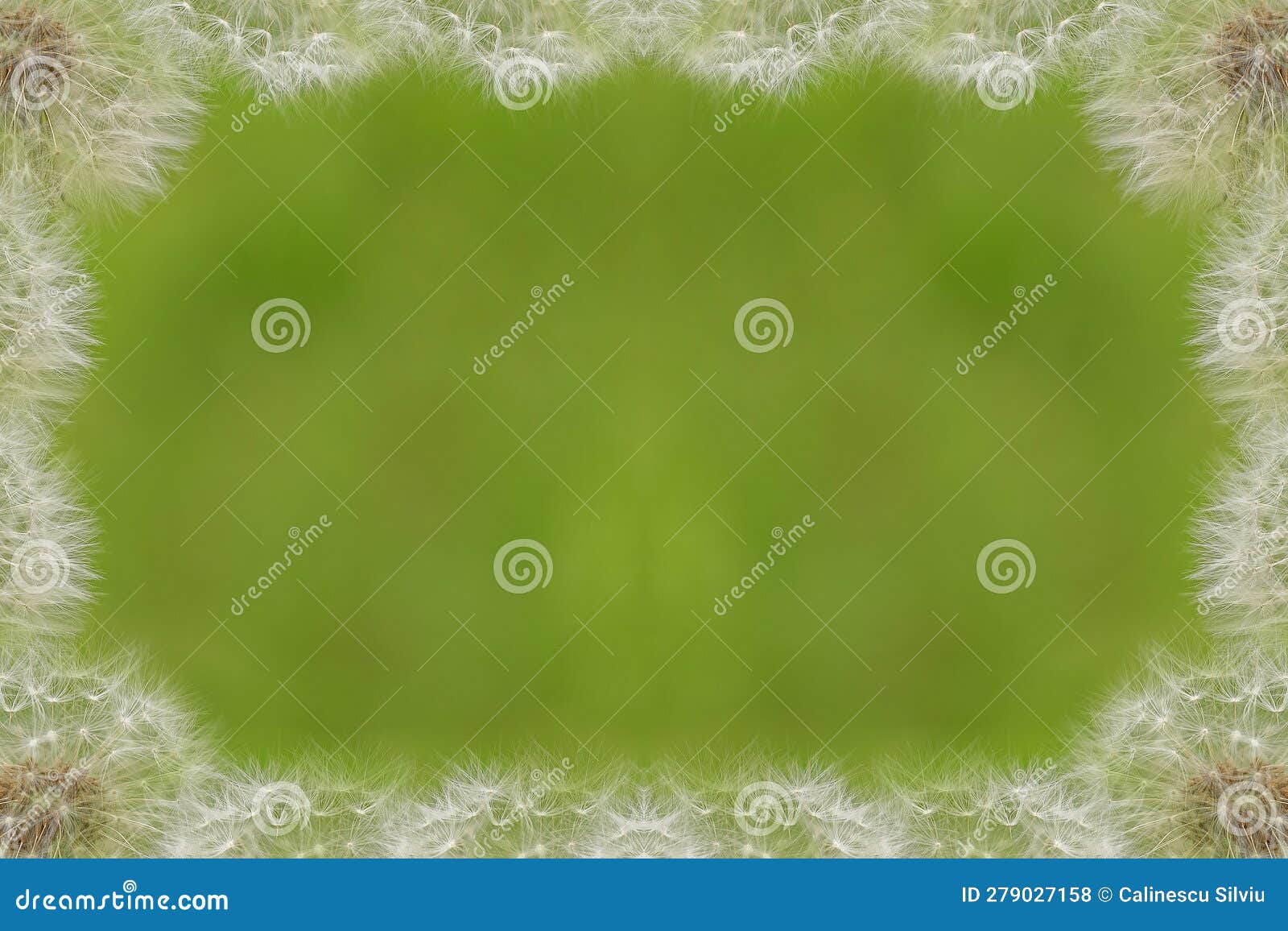 Dandelion Frame Graphic Design, Ver.8 Stock Illustration - Illustration ...