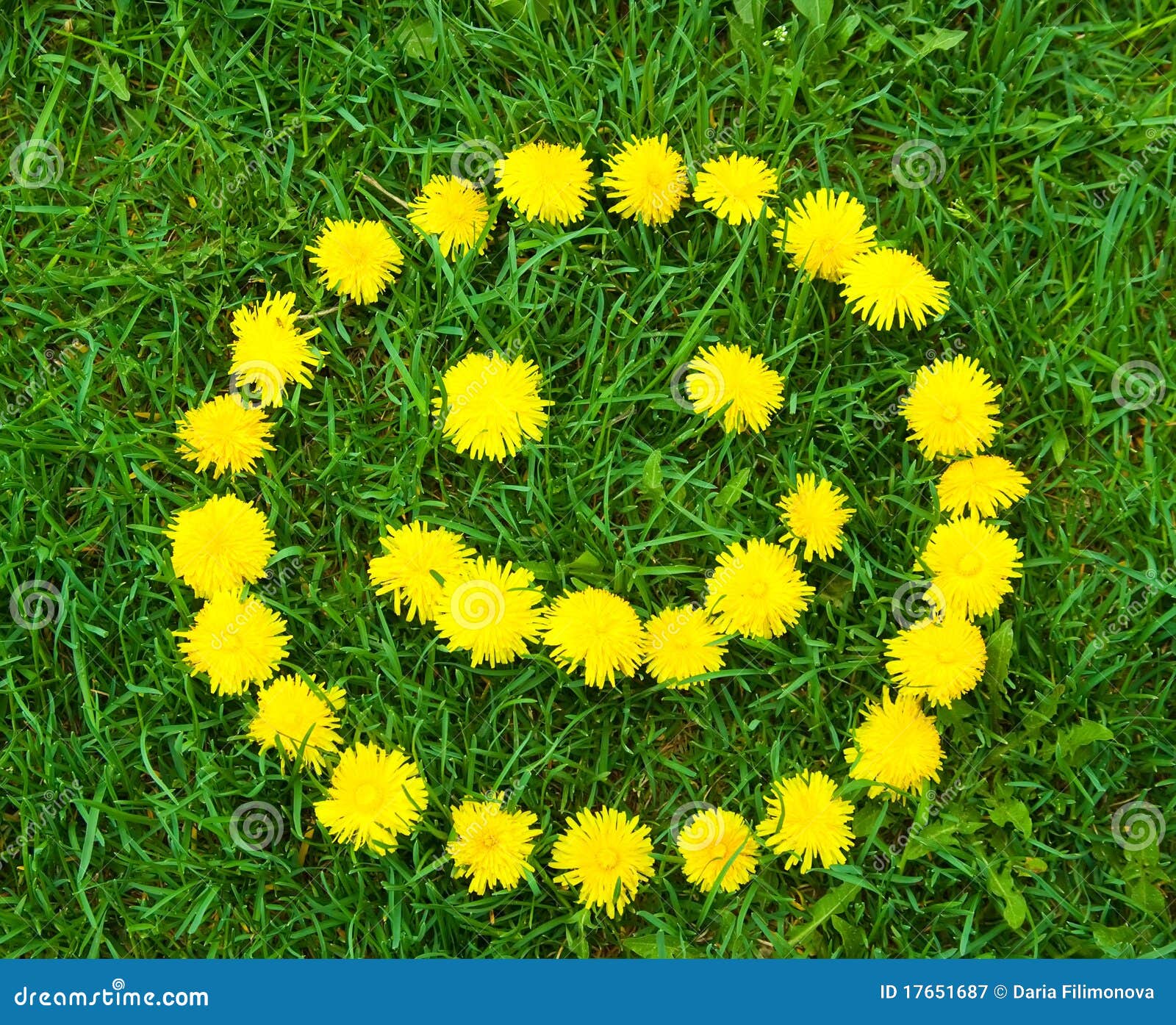 Dandelion Happy Face stock image. Image of cheerful, humor - 17651687