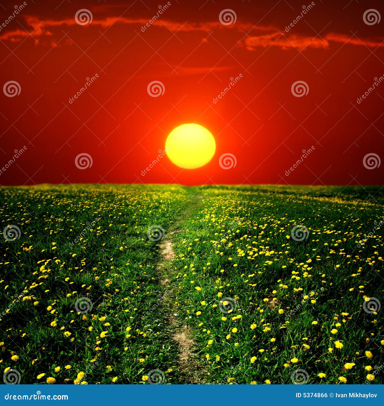 Dandelion landscape stock photo. Image of outdoor, natural - 5374866