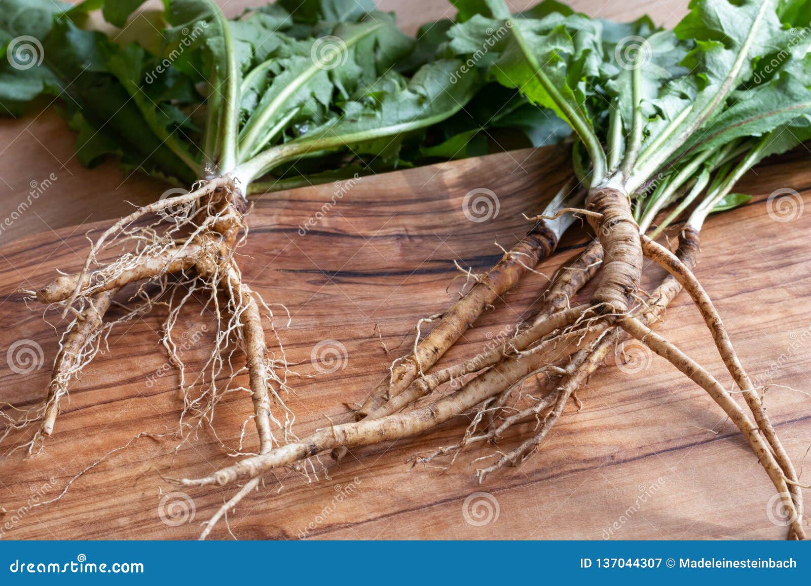 Dandelion Root Or In Latin Taraxaci Radix In A Glass Jar And Wooden ...