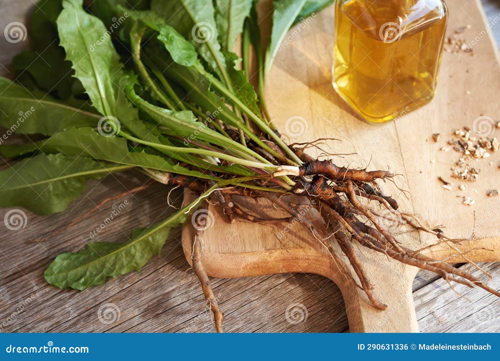 Dandelion Roots with Herbal Tincture Stock Photo - Image of dandelions ...