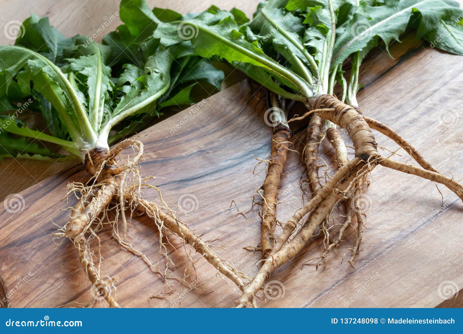 Dandelion roots on a table stock photo. Image of weed - 137248098