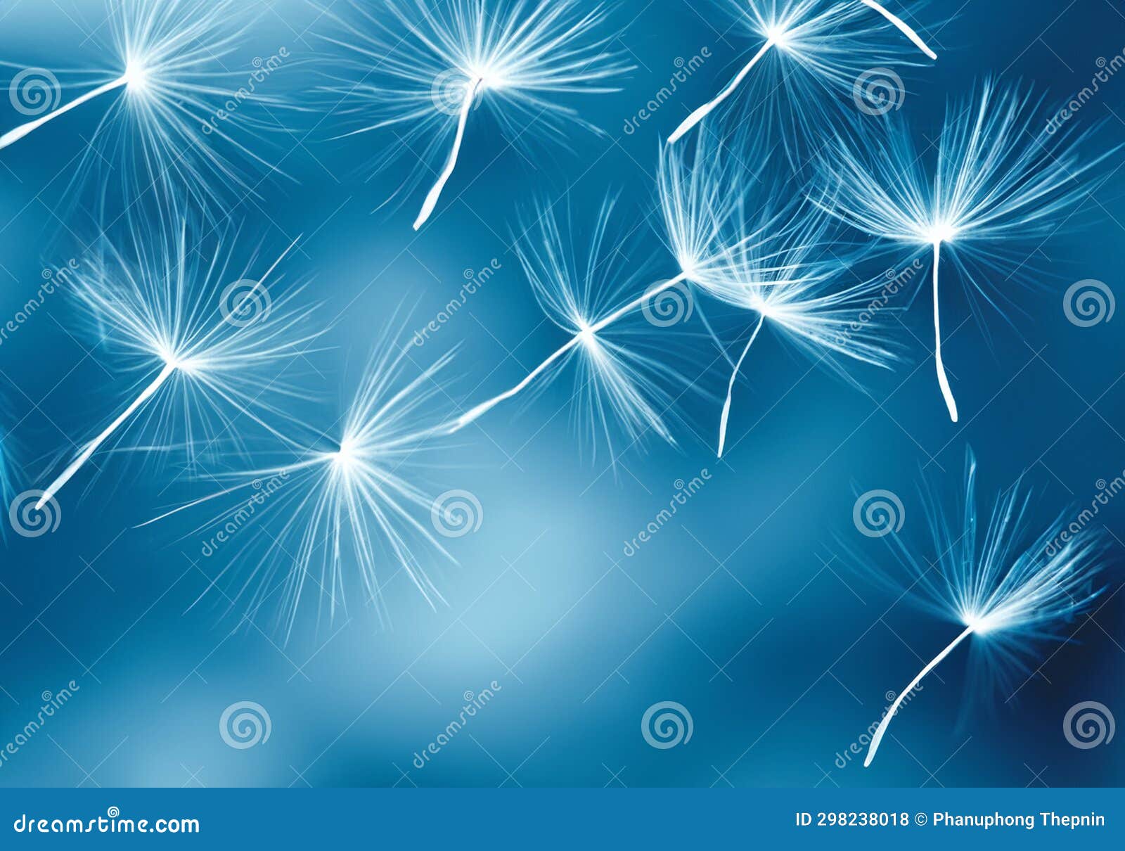 Dandelion Seed Heads and Seeds Floating in Air Stock Illustration ...