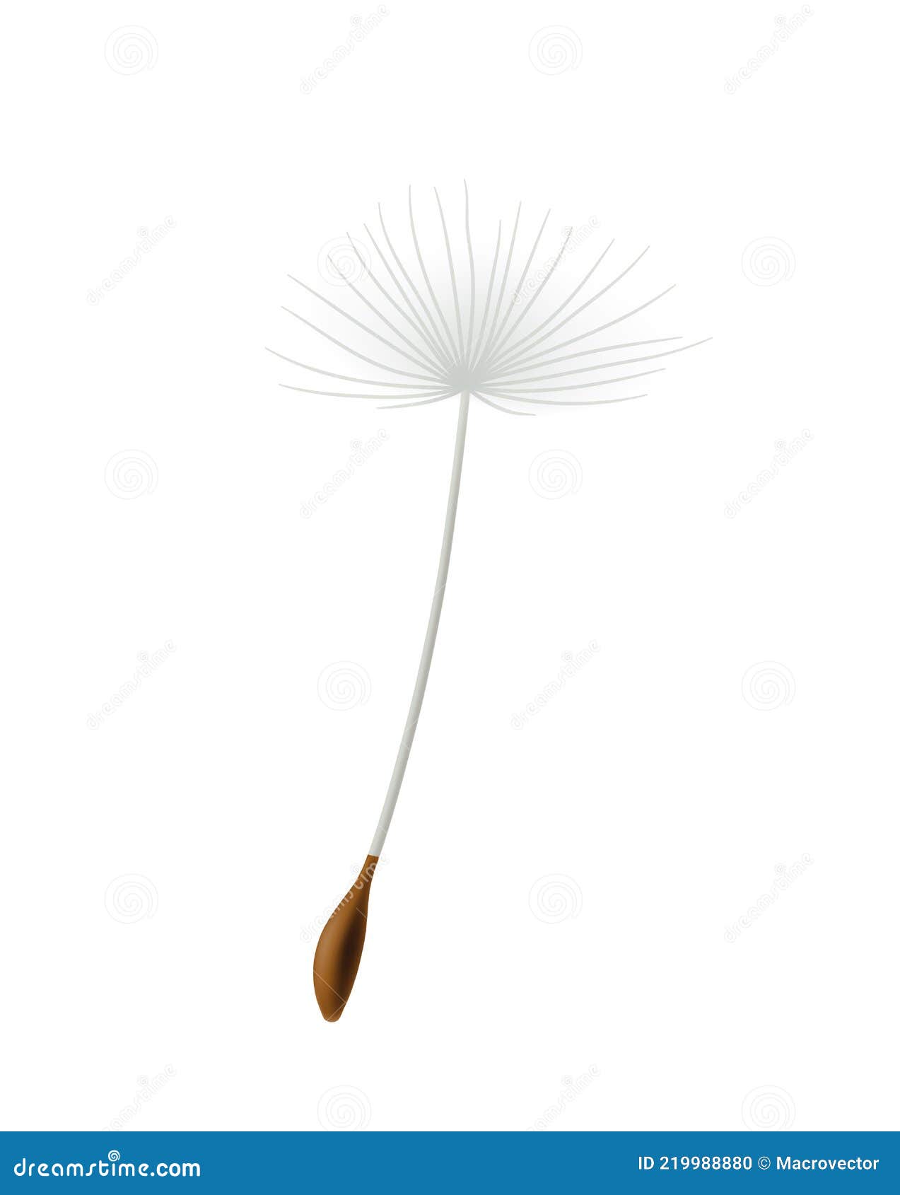 Dandelion Seed Dispersal With Blurred Background Stock Photography ...