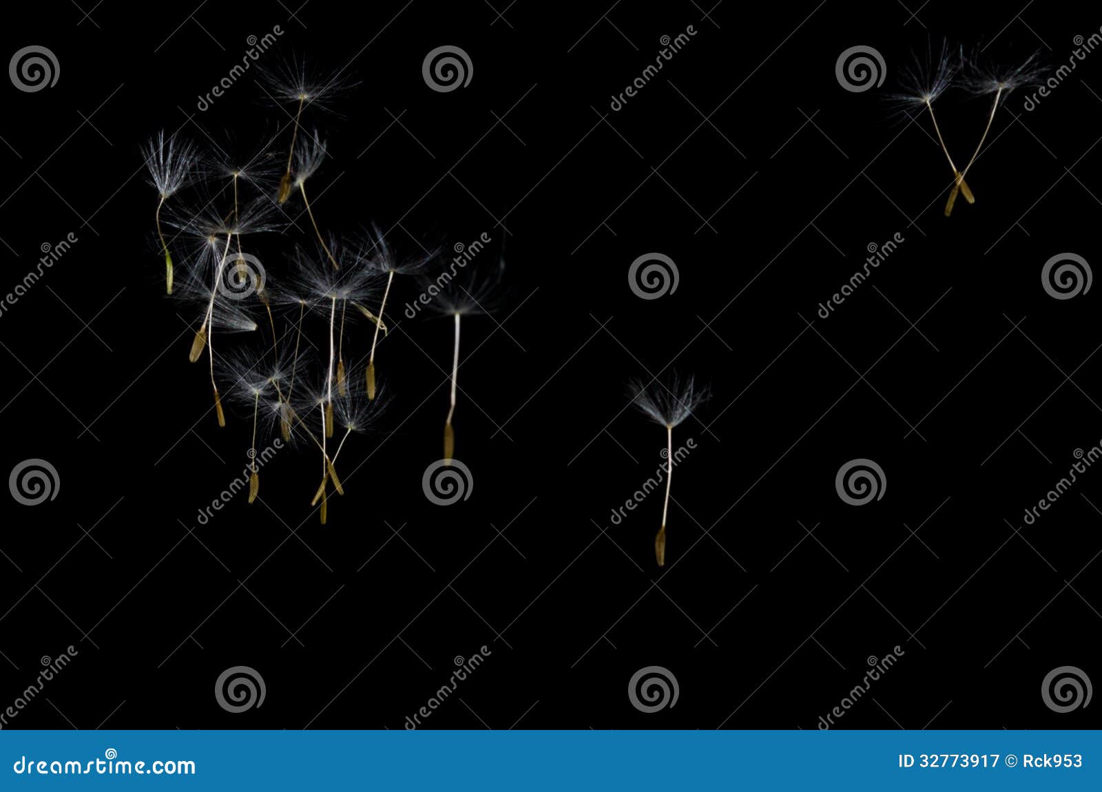 Dandelion Seeds Floating Free Stock Image - Image of macro, nature ...