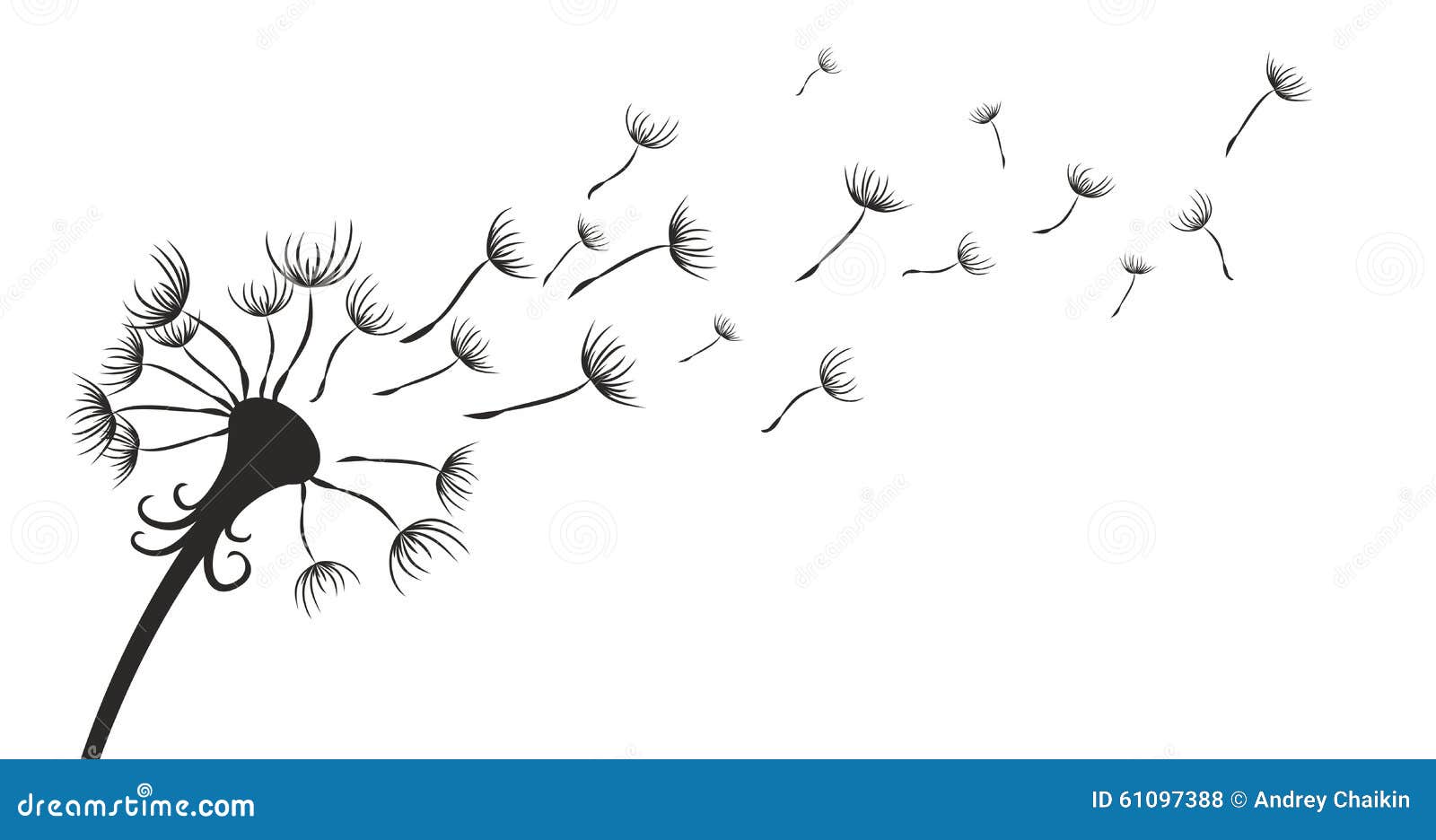 Dandelion. stock vector. Illustration of field, sketch - 61097388