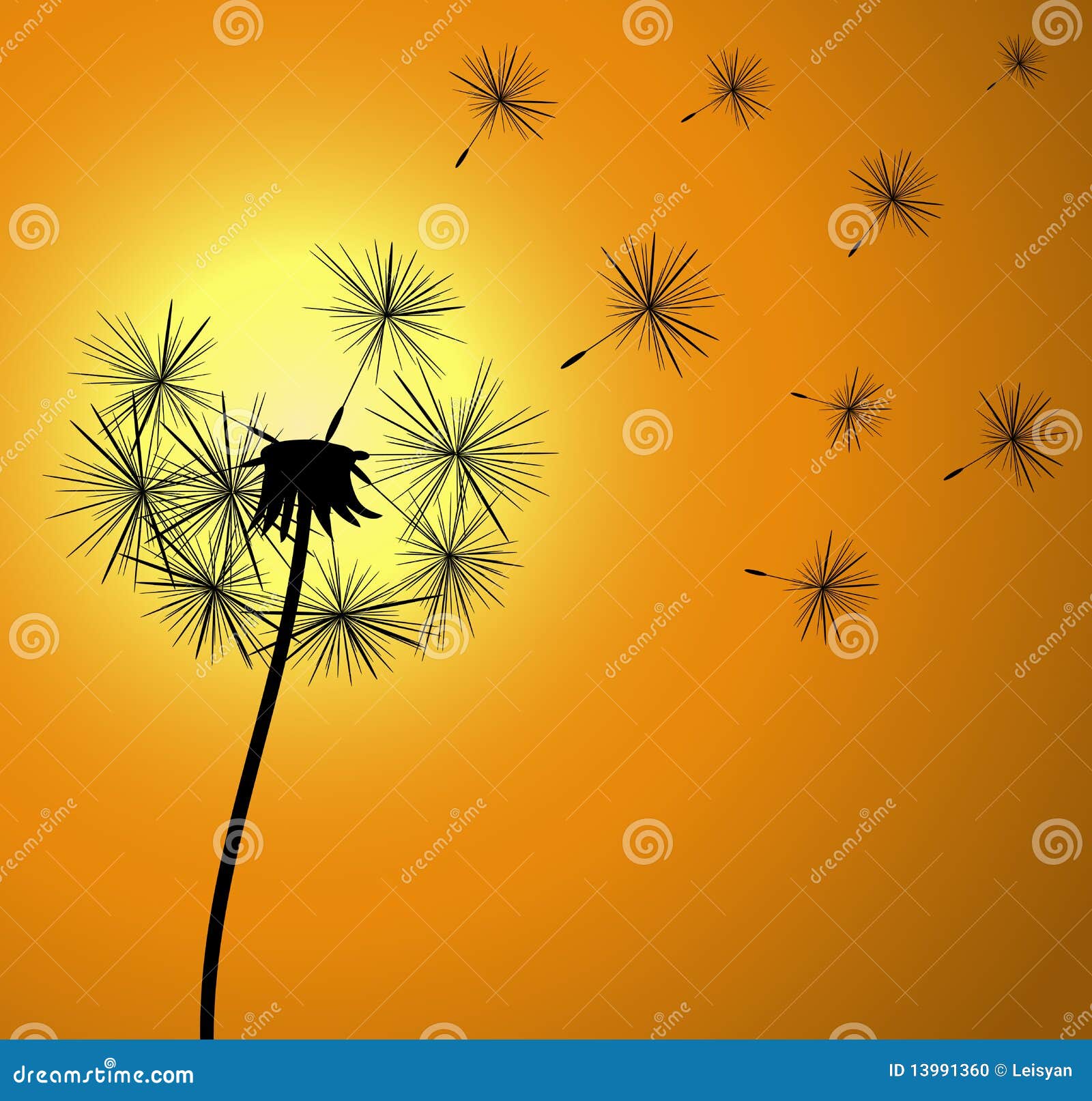 Dandelion on the sunset stock vector. Illustration of dandelion - 13991360