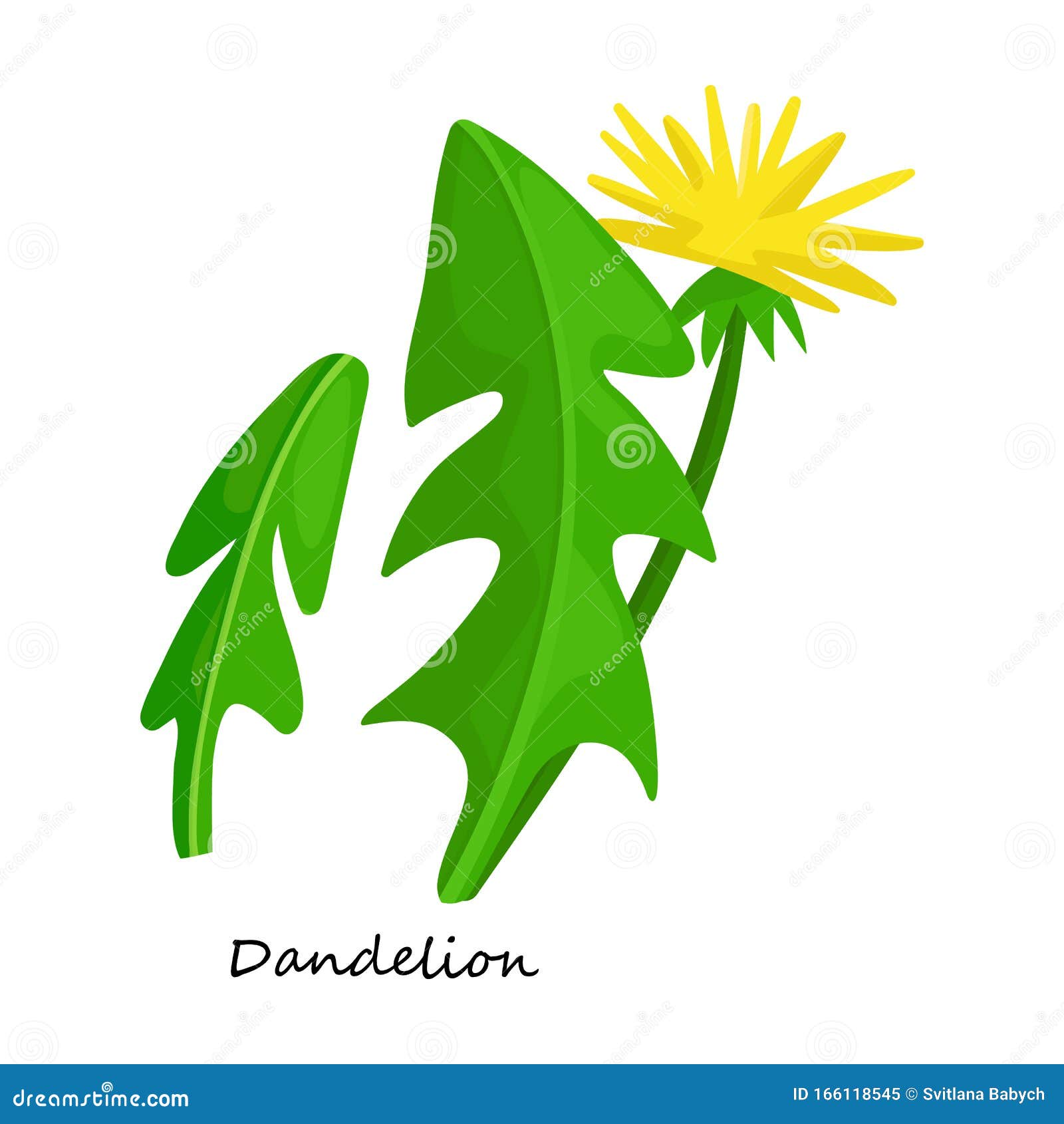 Dandelion Vector Icon.Cartoon Vector Icon Isolated on White Background ...