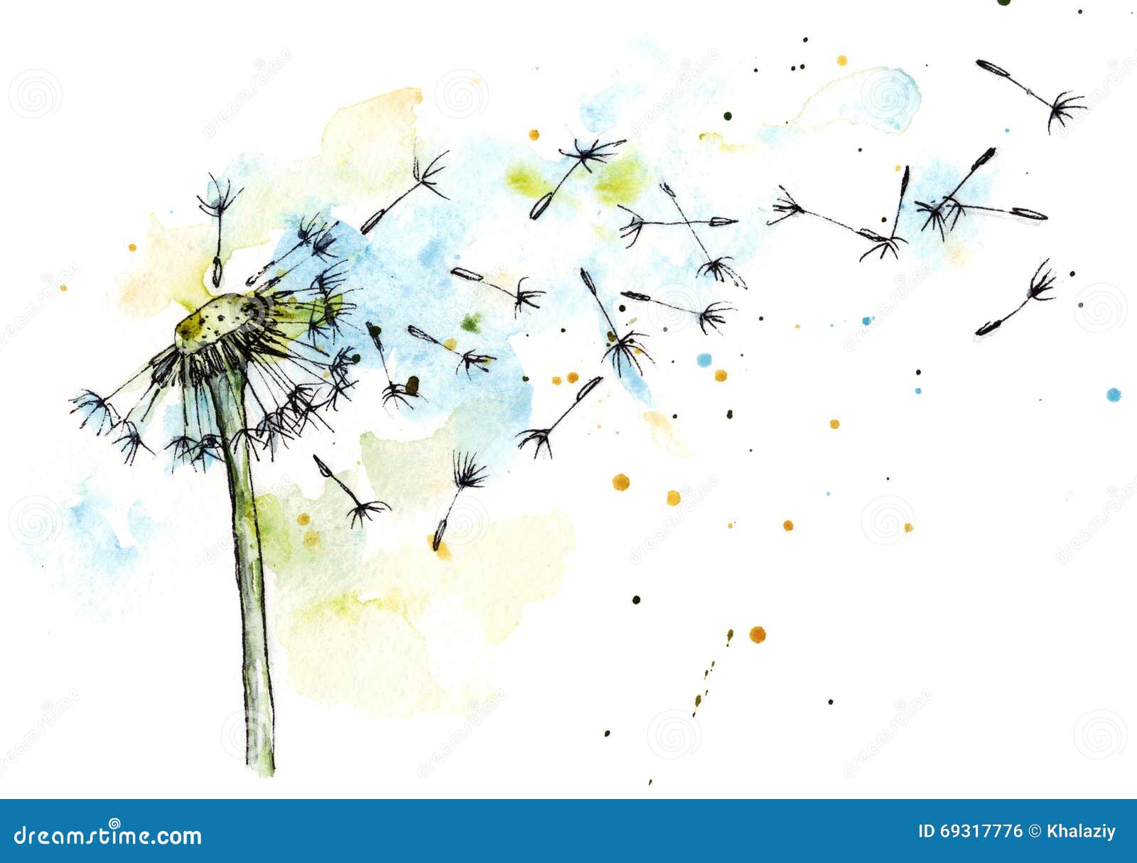 Dandelion in watercolor stock illustration. Illustration of green ...