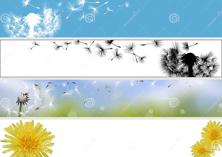 Dandelion Website Banner Collection Stock Vector - Illustration of ...