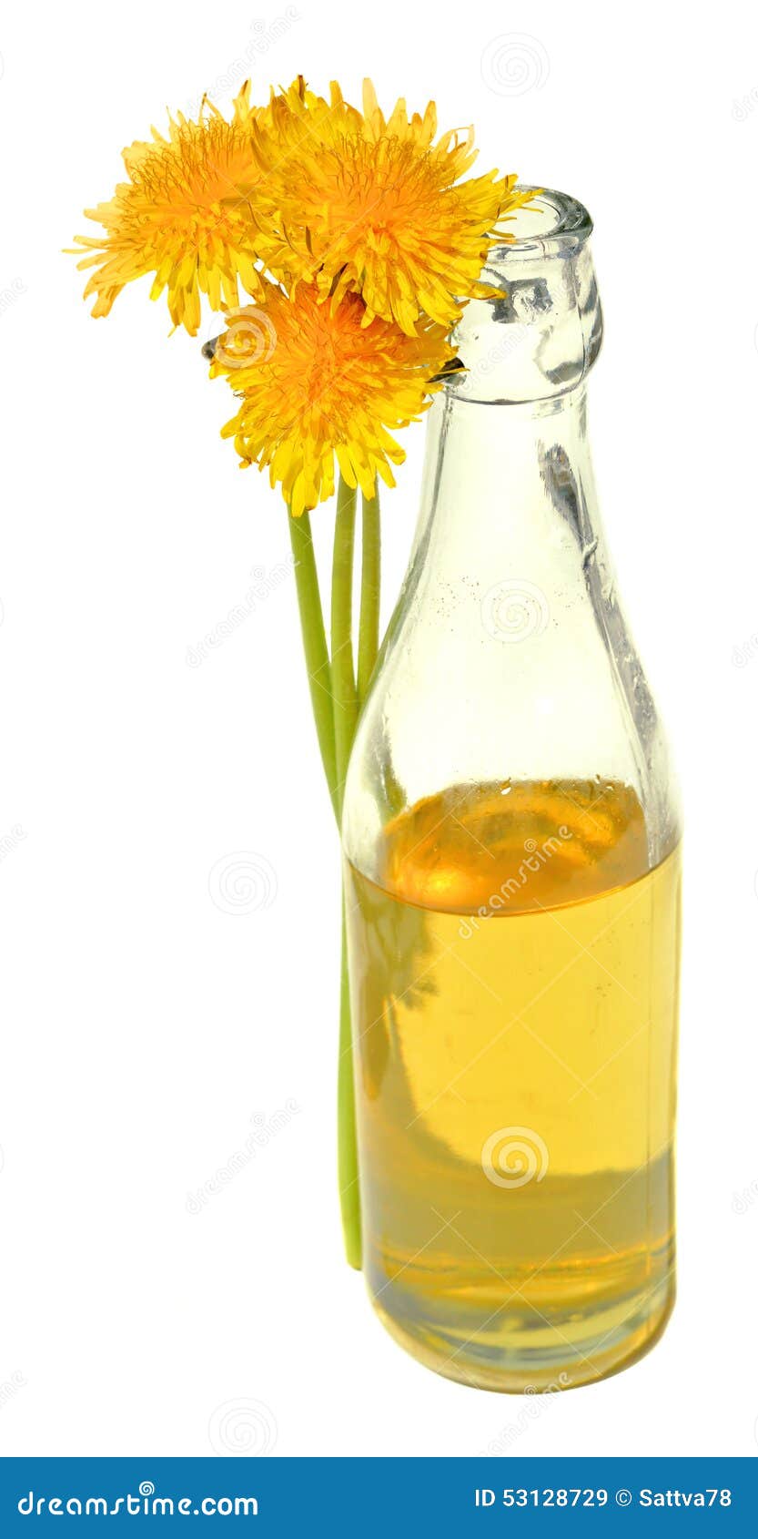 Dandelion Wine stock image. Image of wine, flower, cure - 53128729