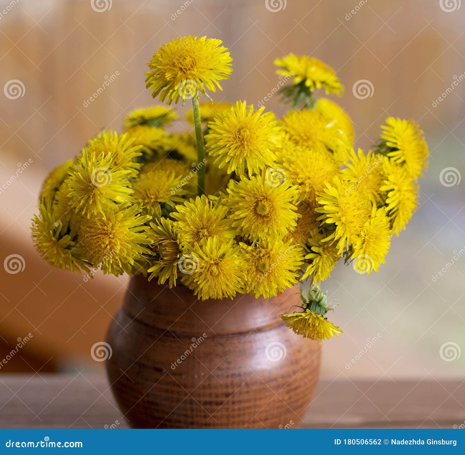 Dandelions in a Ceramic Vase in Early Spring Stock Photo - Image of ...