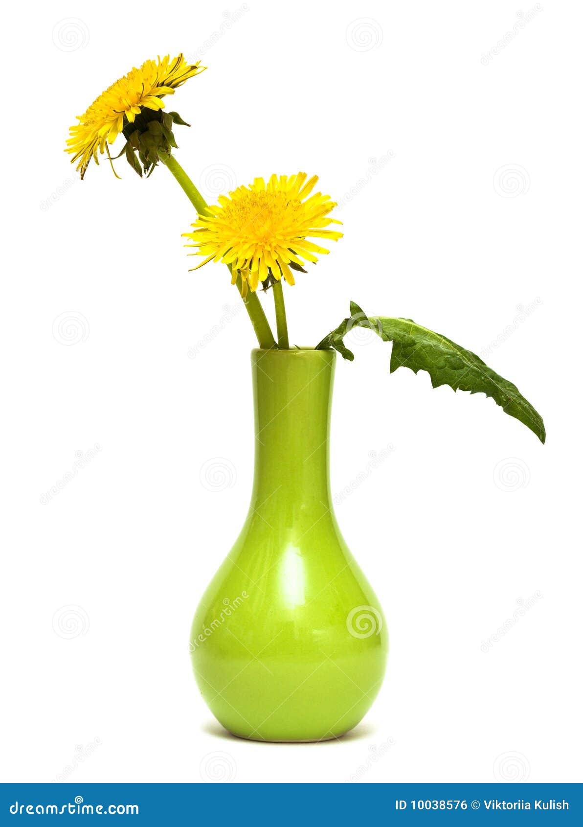 Dandelions in a green vase stock photo. Image of nature - 10038576