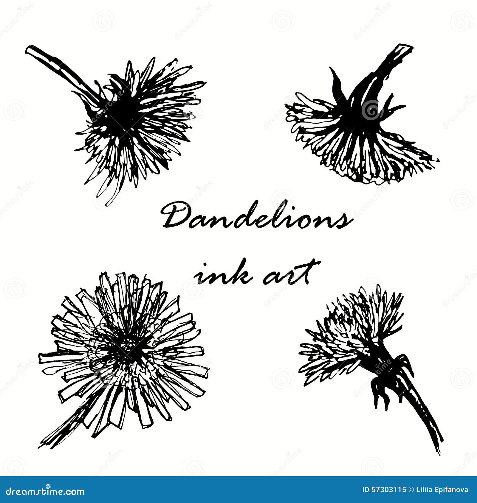 Dandelions Hand Drawn Sketch Illustration Stock Vector - Illustration ...