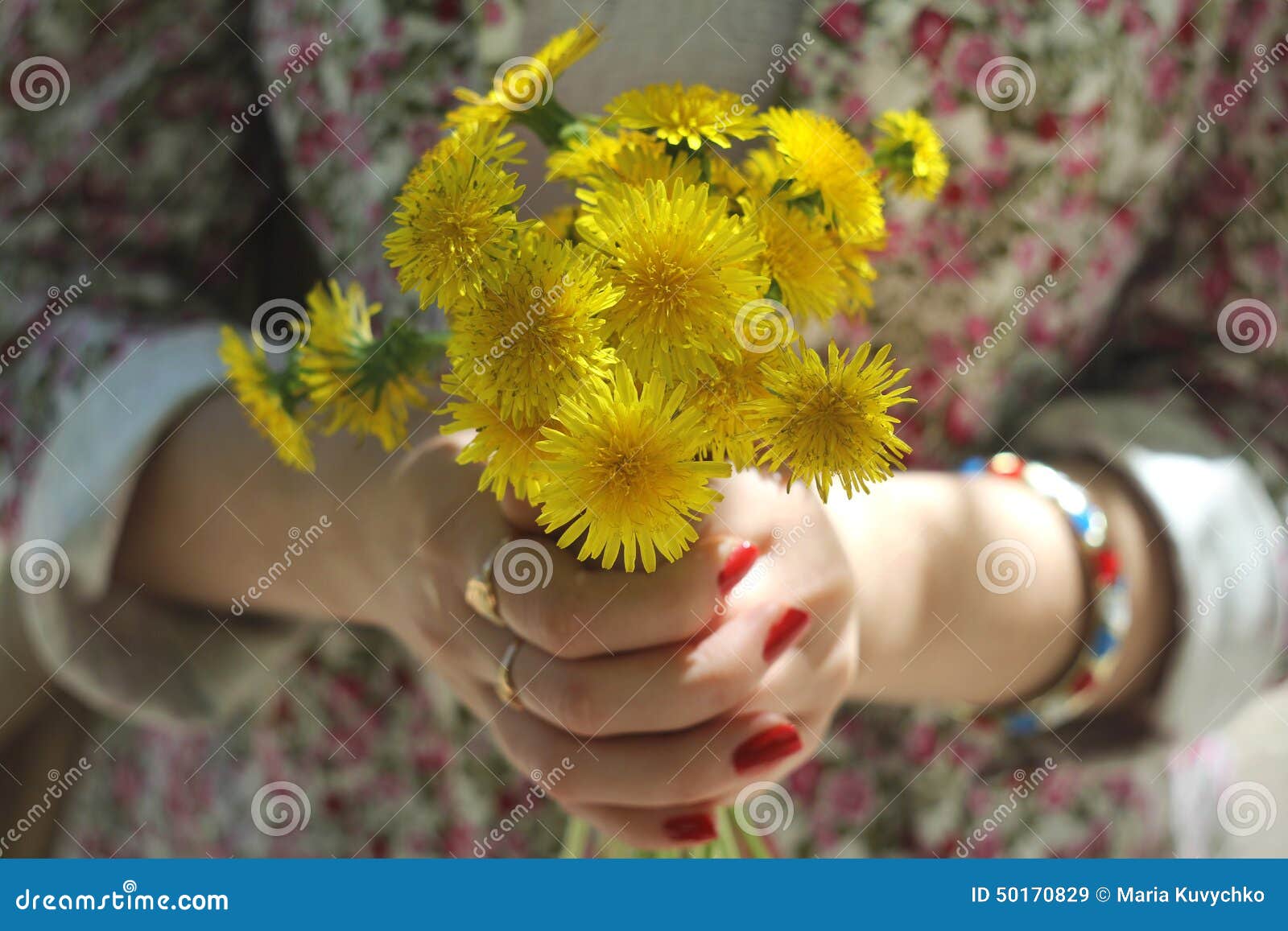 Dandelions in the hands stock image. Image of girl, spring - 50170829