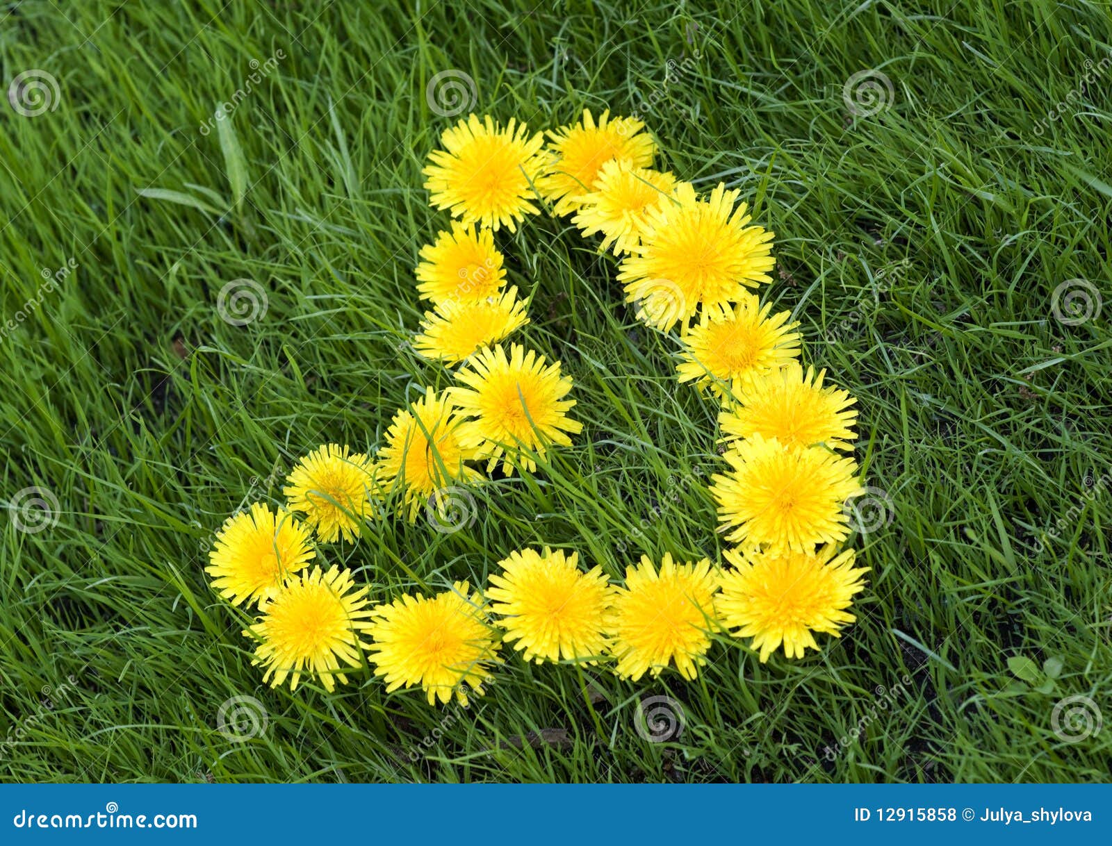 Dandelions Heart stock photo. Image of nature, happy - 12915858