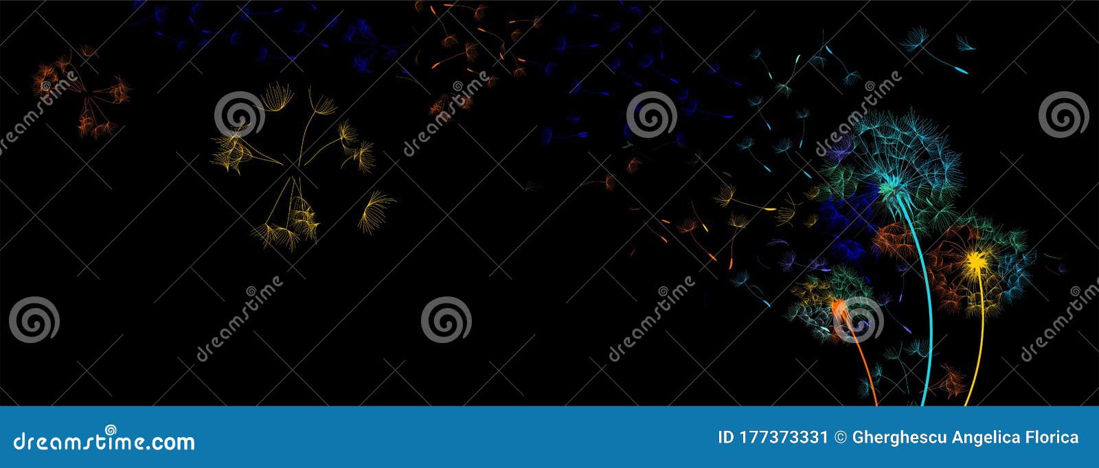 Dandelions Rainbow in the Wind on Black Background - Vector. Stock ...