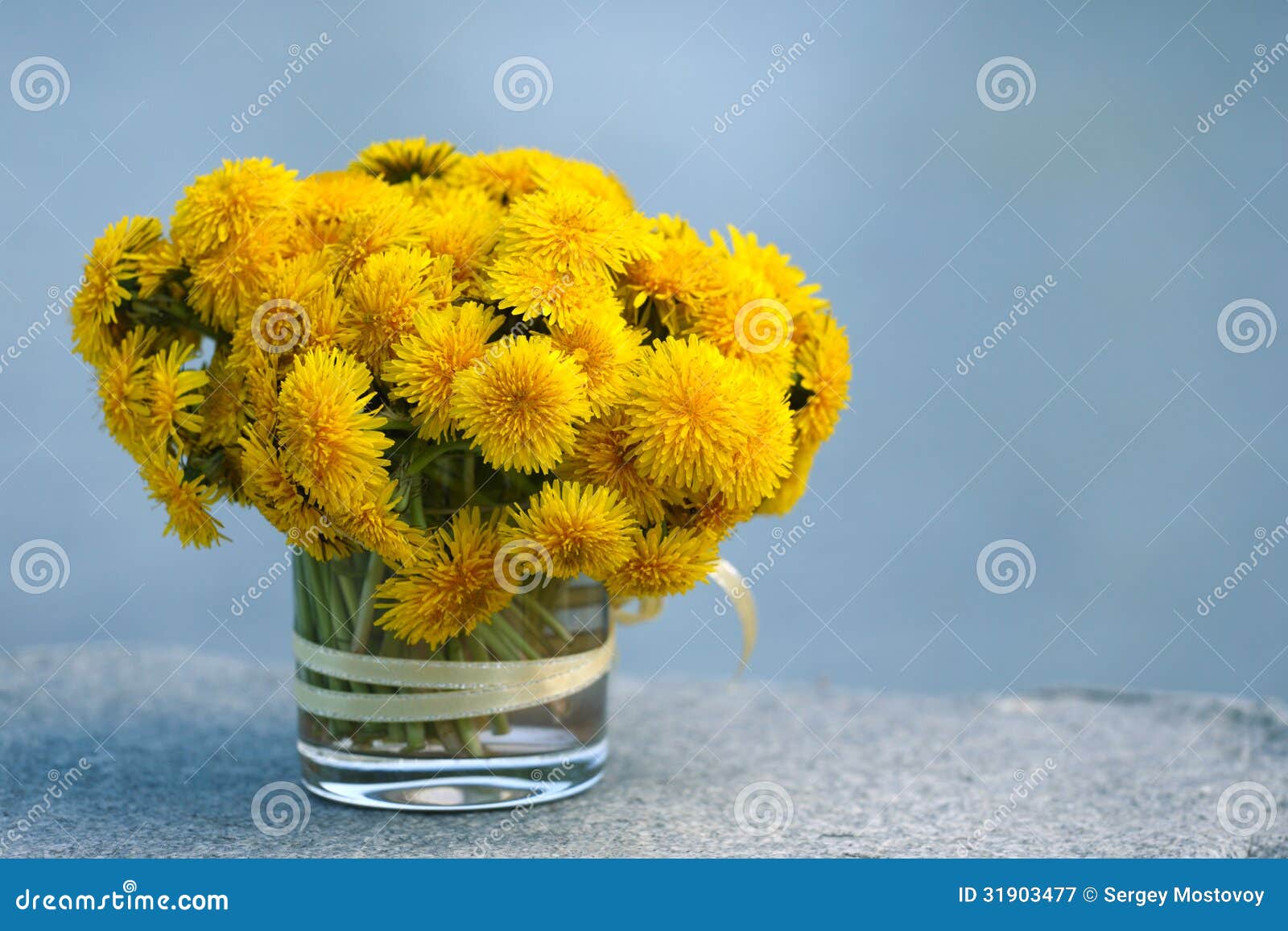 Dandelions stock image. Image of bright, leaf, bouquet - 31903477