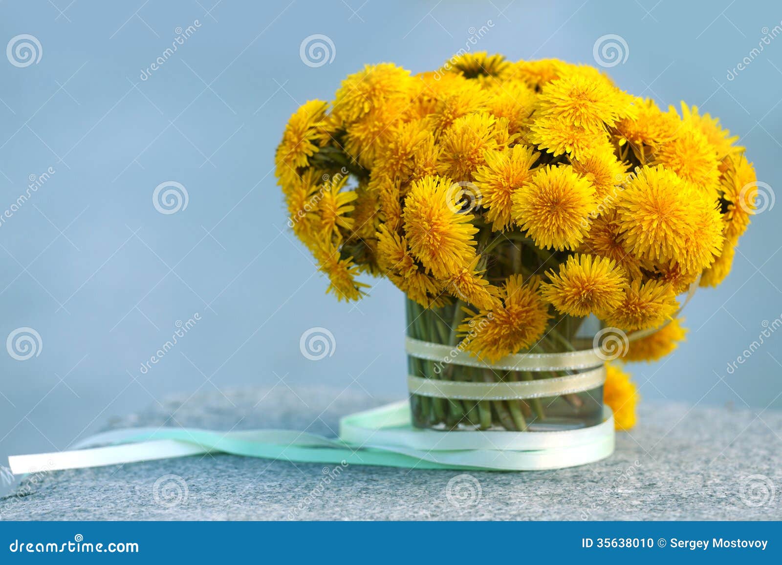 Dandelions stock photo. Image of beauty, bright, botany - 35638010
