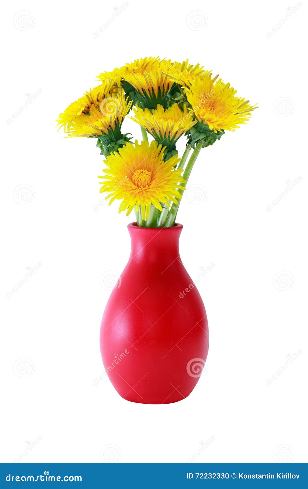 Dandelions in Vase stock photo. Image of plant, flowering - 72232330