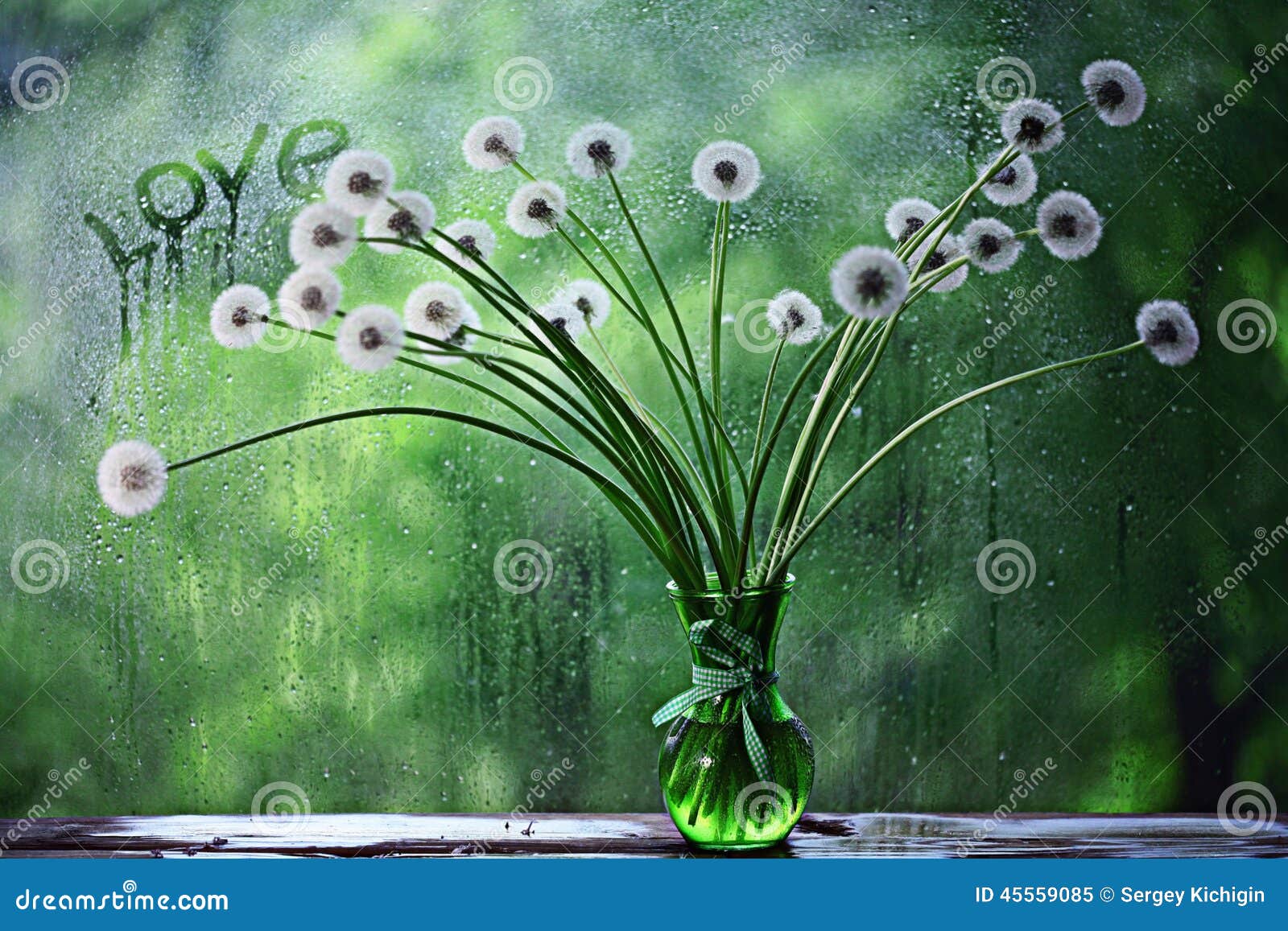 Dandelions in white vase stock image. Image of dandelions - 45559085